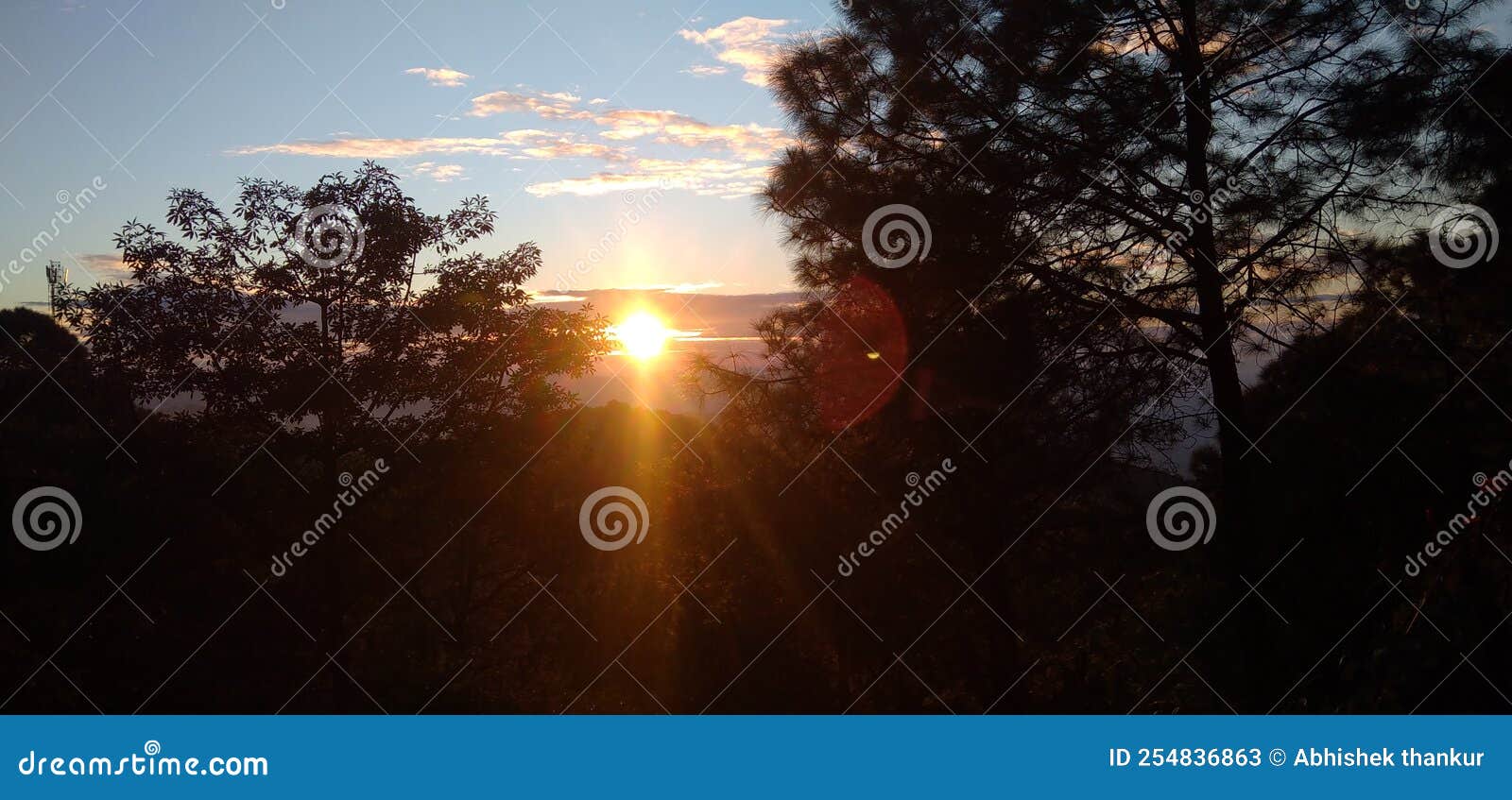 Blue Sky Trees Sunset Clear Sky Love Summer Stock Image - Image of dawn ...