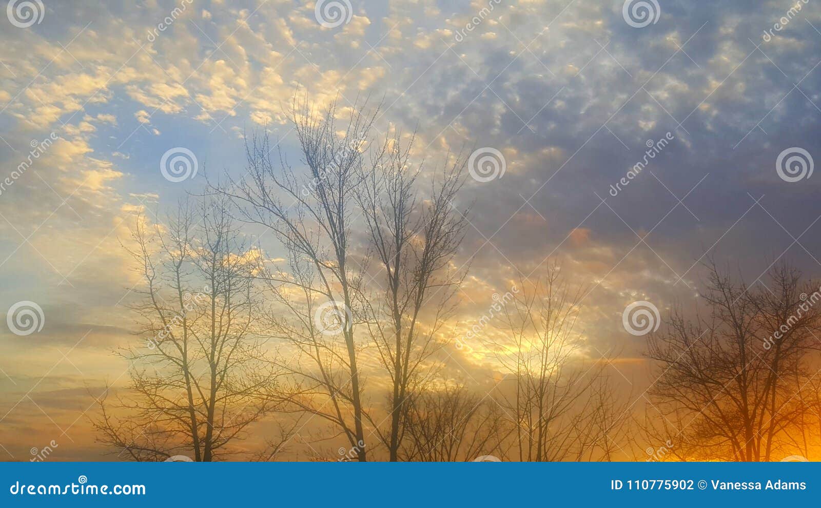 Blue Sky Trees Sunset Clouds Stock Photo - Image of sunset, clouds ...