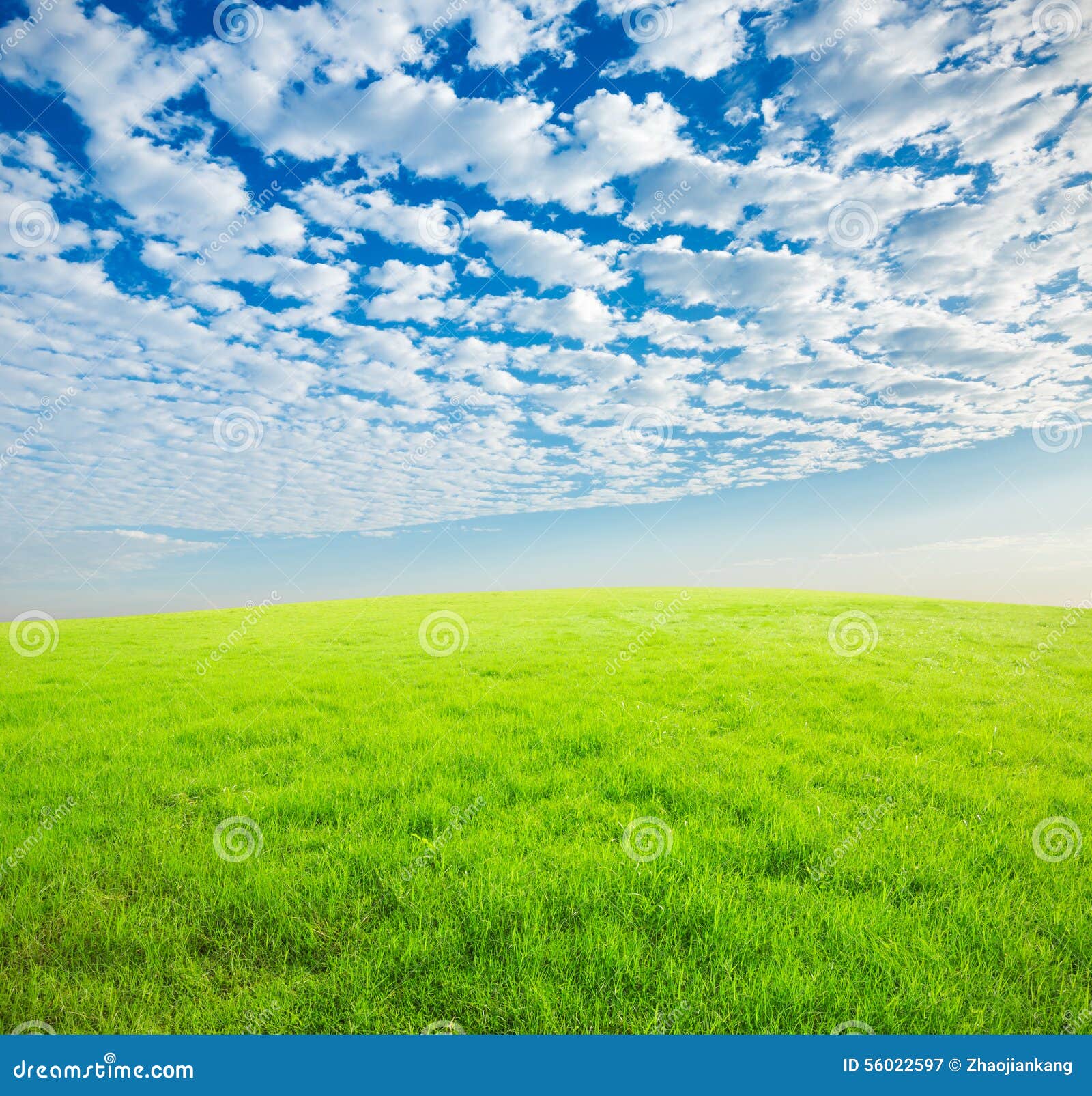 Blue Sky and White Clouds and Grass Stock Image - Image of grass ...