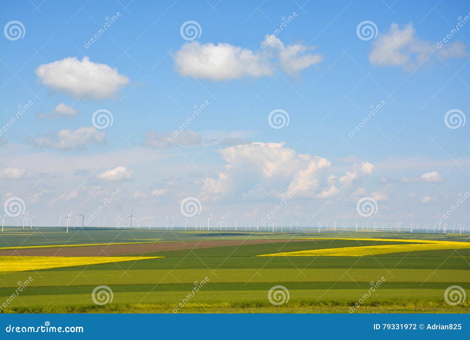 Blue Sky With White Clouds And Green Grass Background On A Summer Day