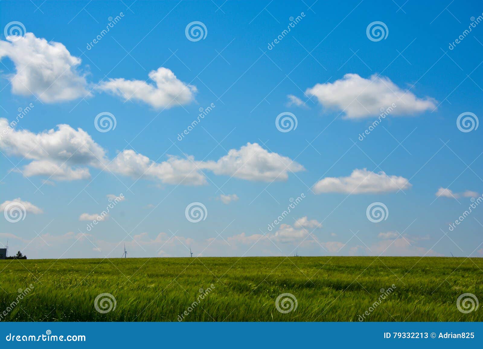 Blue Sky With White Clouds And Green Grass Background On A Summer Day