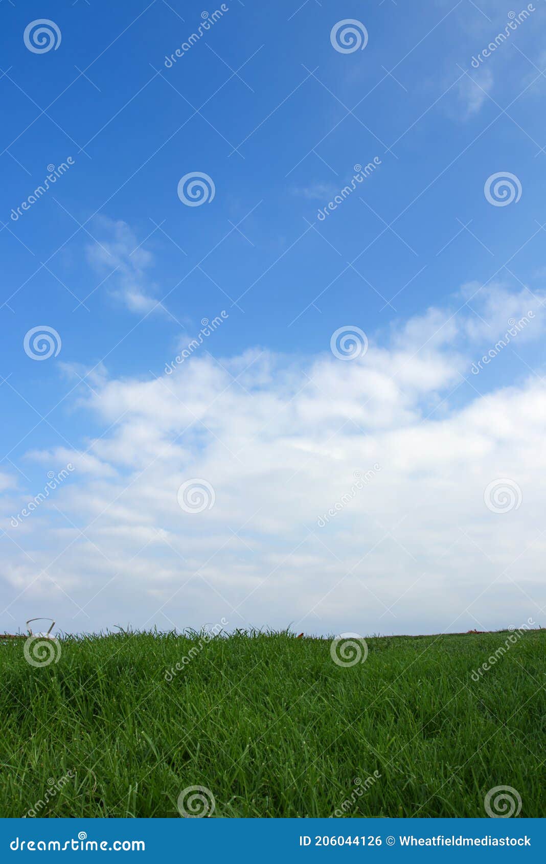 Blue Sky, White Clouds and Green Grass Landscape, Vertical Composition ...