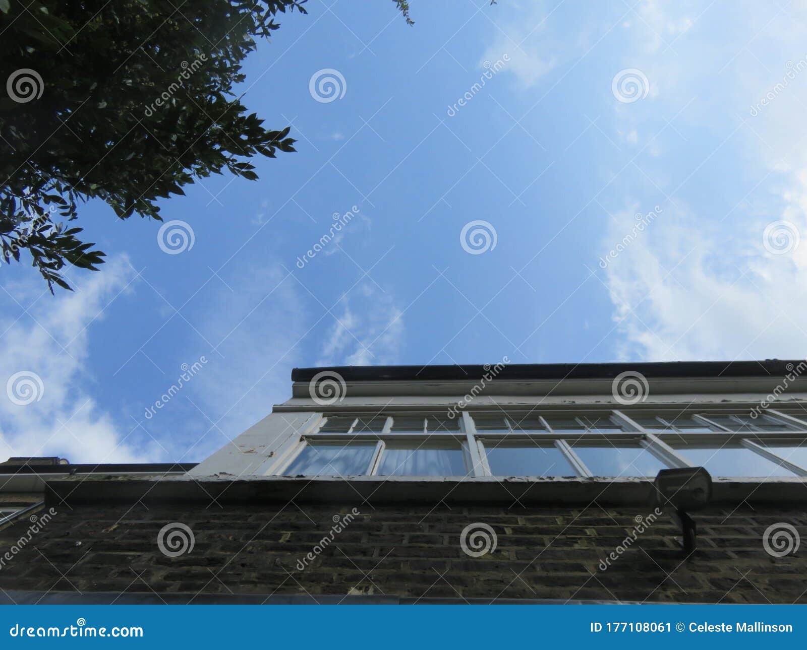 Blue sky and windows stock image. Image of tree, light - 177108061