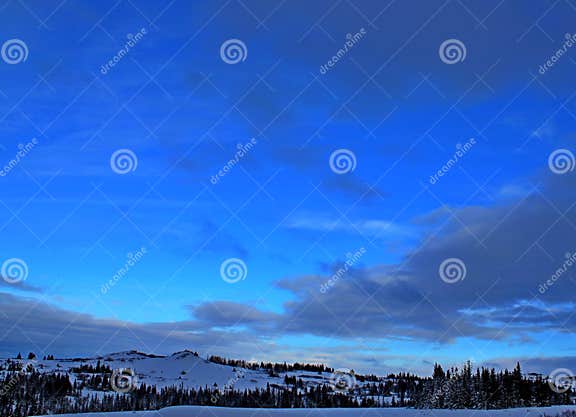 Blue sky in winter stock photo. Image of landscape, scenic - 23232086