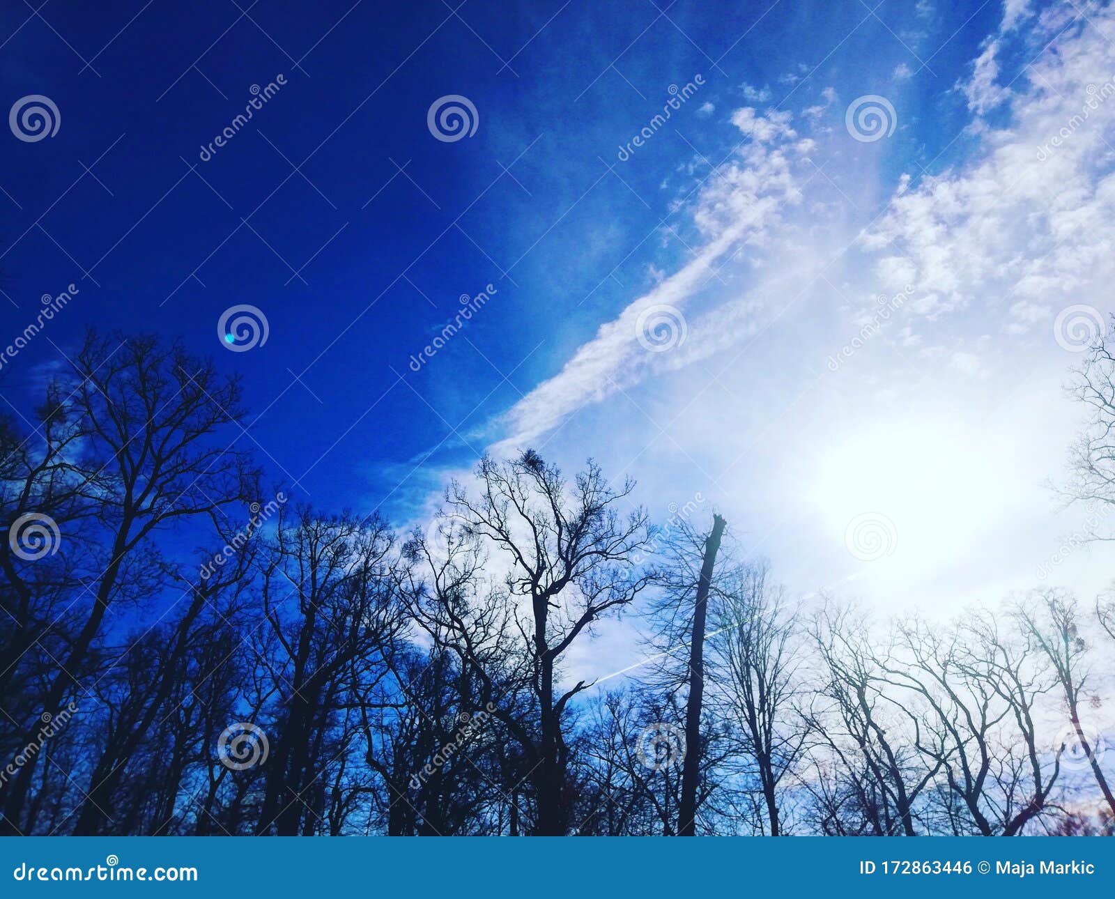Blue sky in winter day stock photo. Image of blue, lanndscape - 172863446