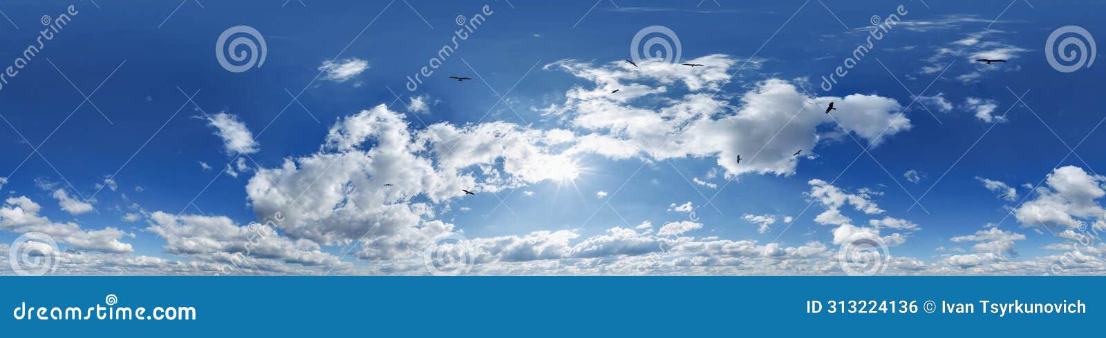 Blue Skydome With Flock Of Birds In 360 Hdri Panorama In ...