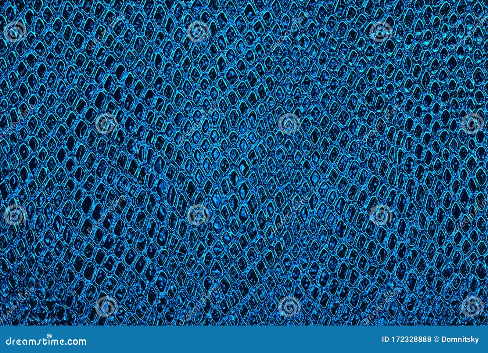 Blue Skin Texture Royalty-Free Stock Photography | CartoonDealer.com ...