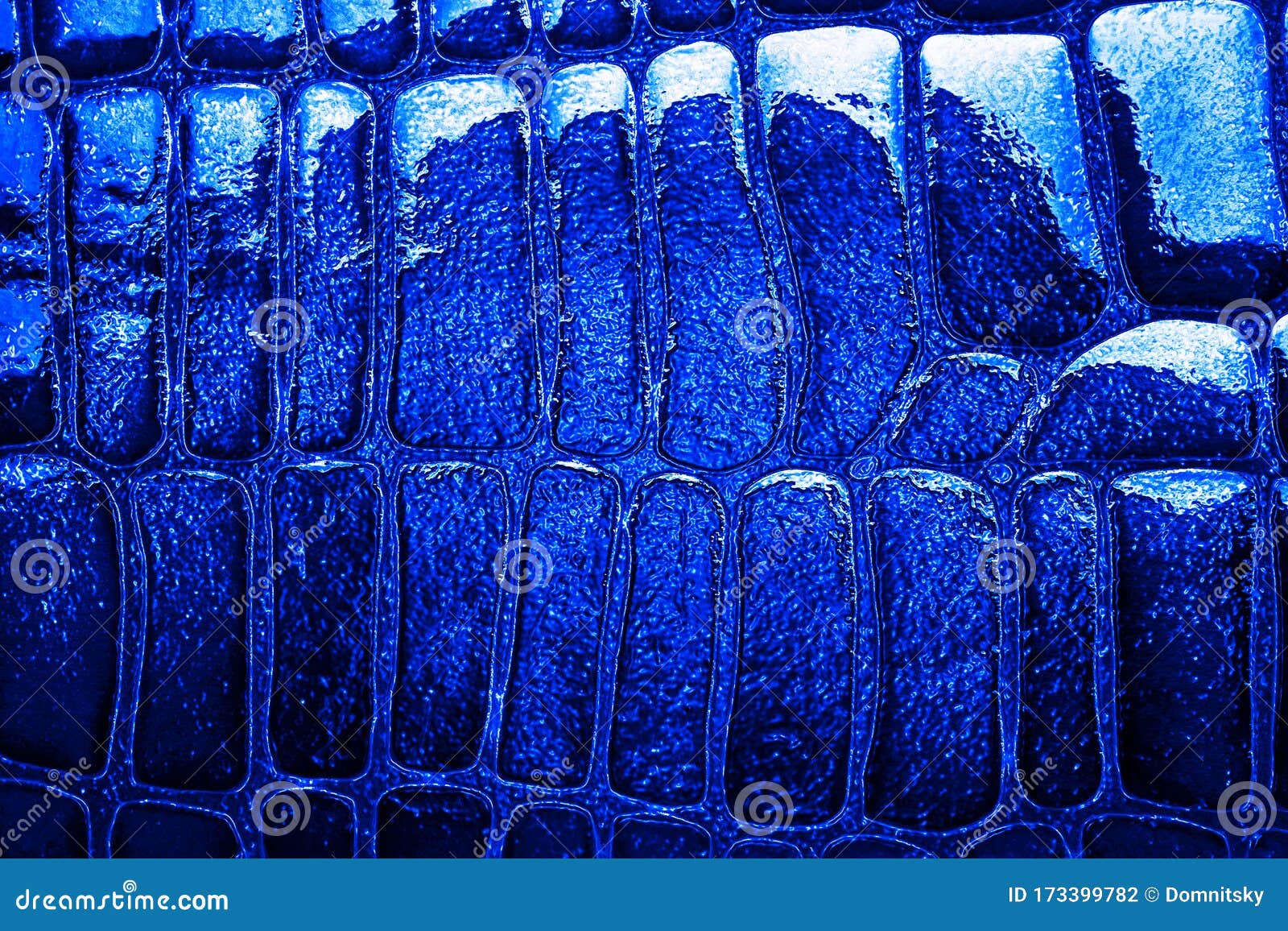 Blue Snake Skin with Pattern Stock Photo - Image of serpent, reptilian ...