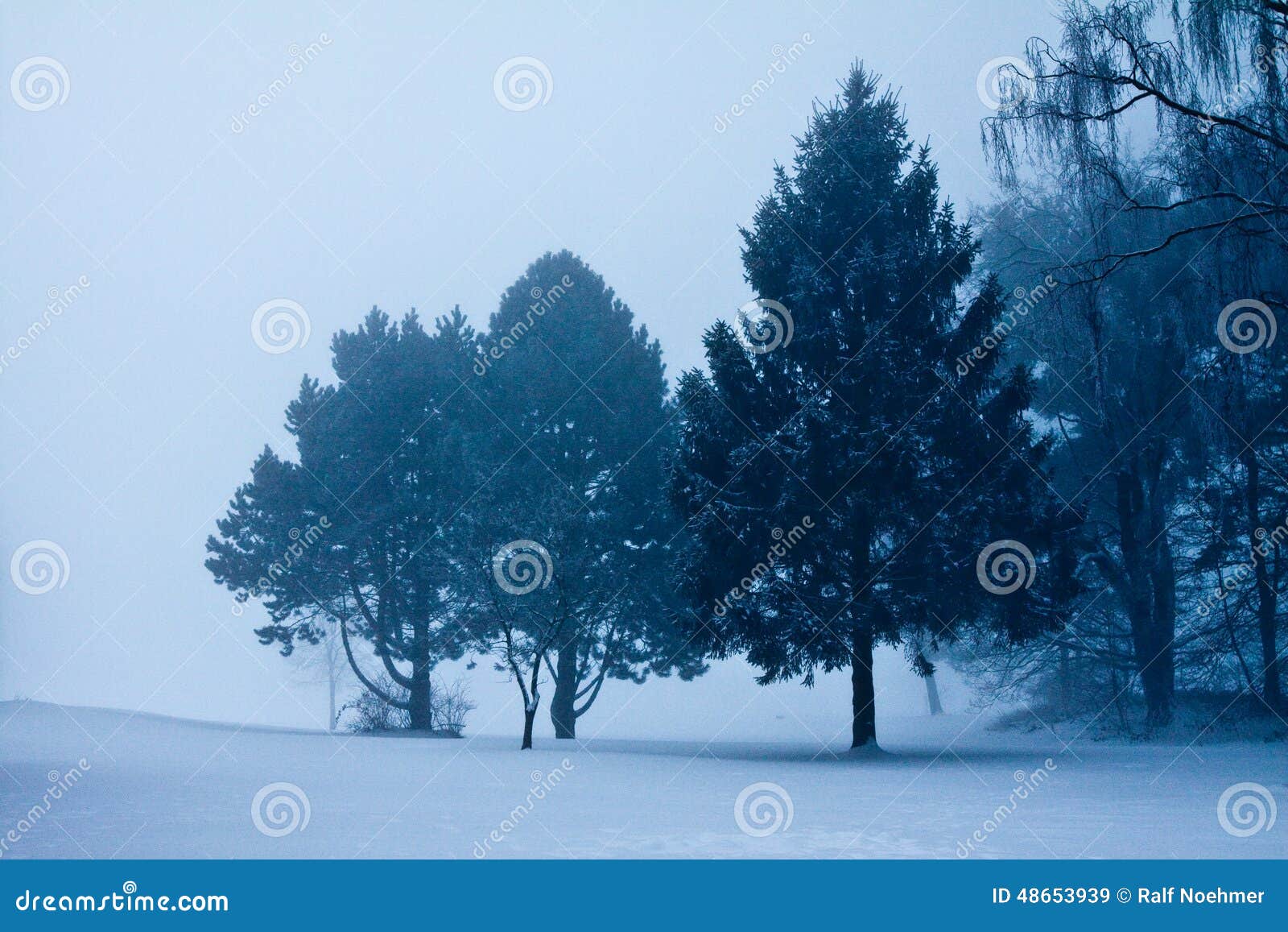 Blue Snow and Trees in Winter Stock Image - Image of forest, misty ...