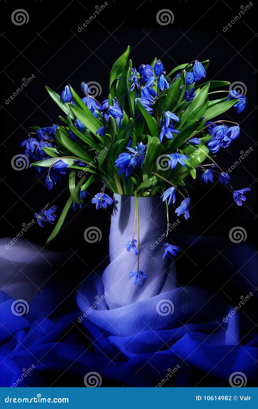 Blue snowdrops stock photo. Image of closeup, colorful - 10614982