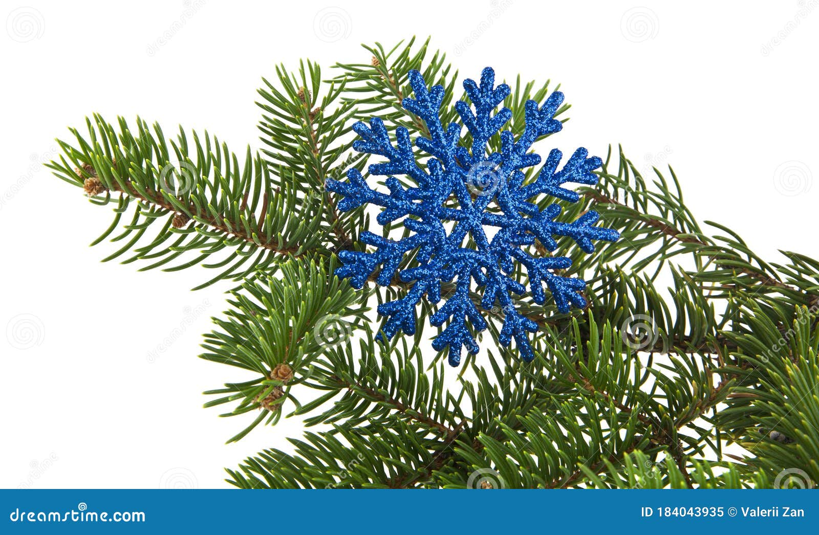 Blue Snowflake with Branch of Christmas Tree Isolated on White ...