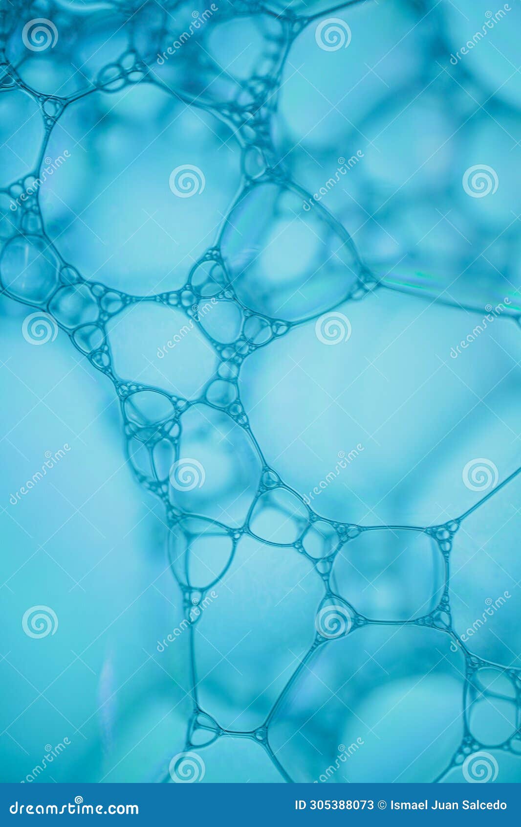 Blue Soap Bubbles, Blue Background Stock Image - Image of transparent ...