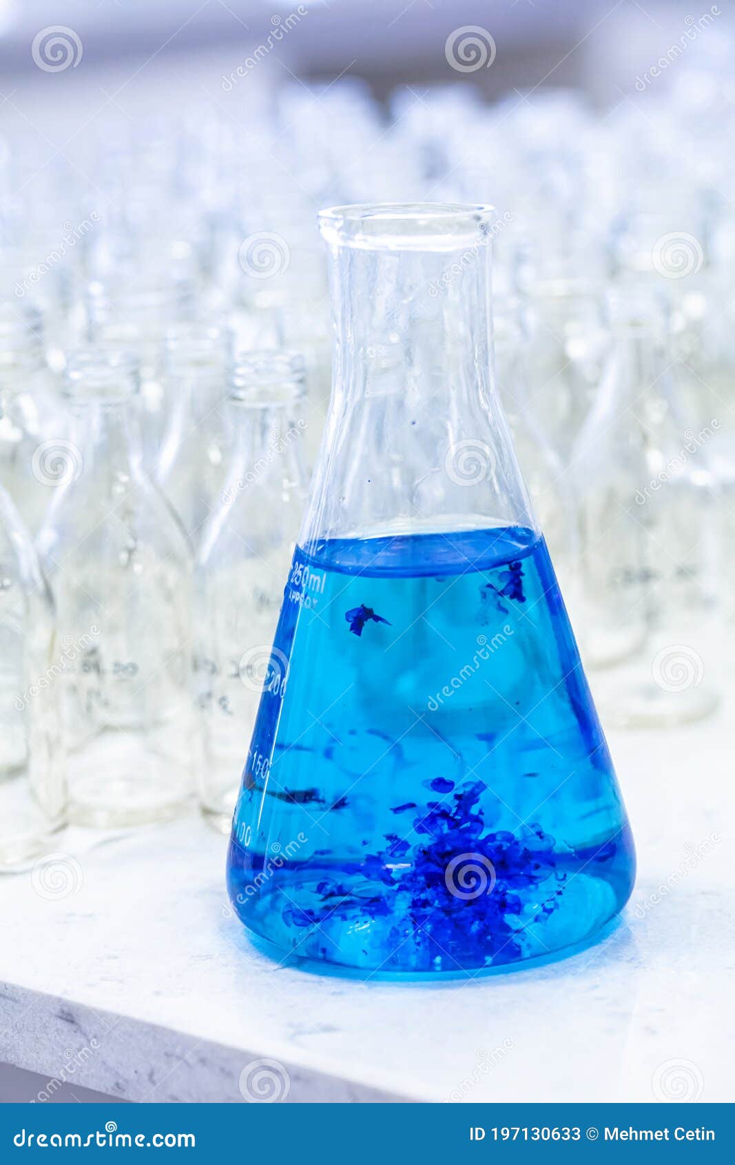 Blue Solution Methylene Blue in Erlenmeyer, Experiments in Chemistry ...