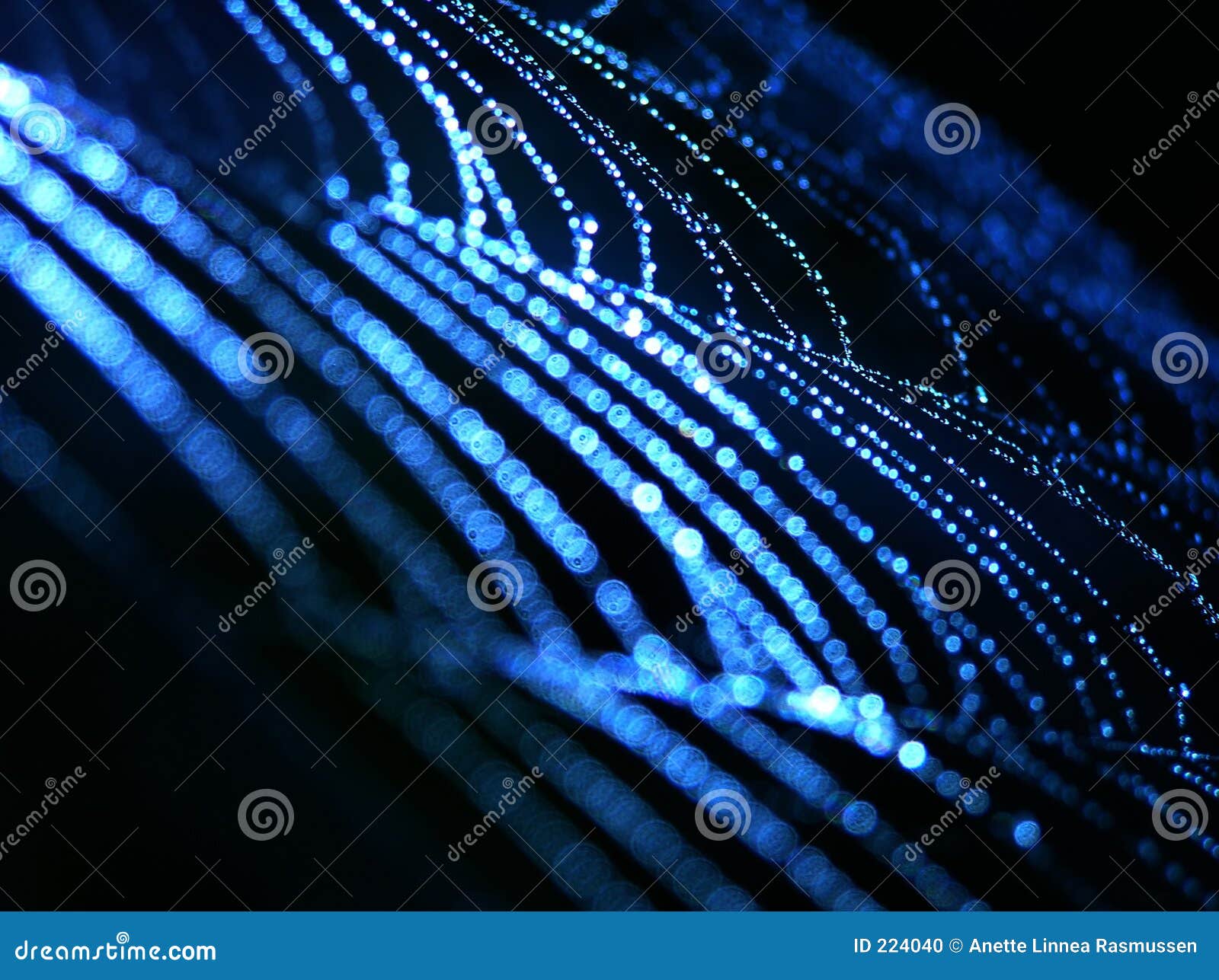 Blue spider web stock photo. Image of natural, nighttime - 224040