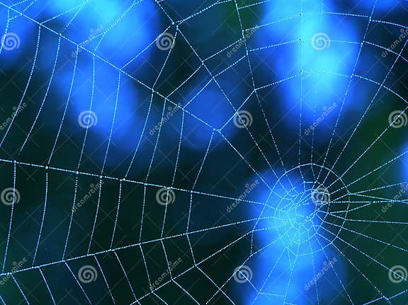 Blue spider web stock image. Image of danger, arachnophobia - 318519
