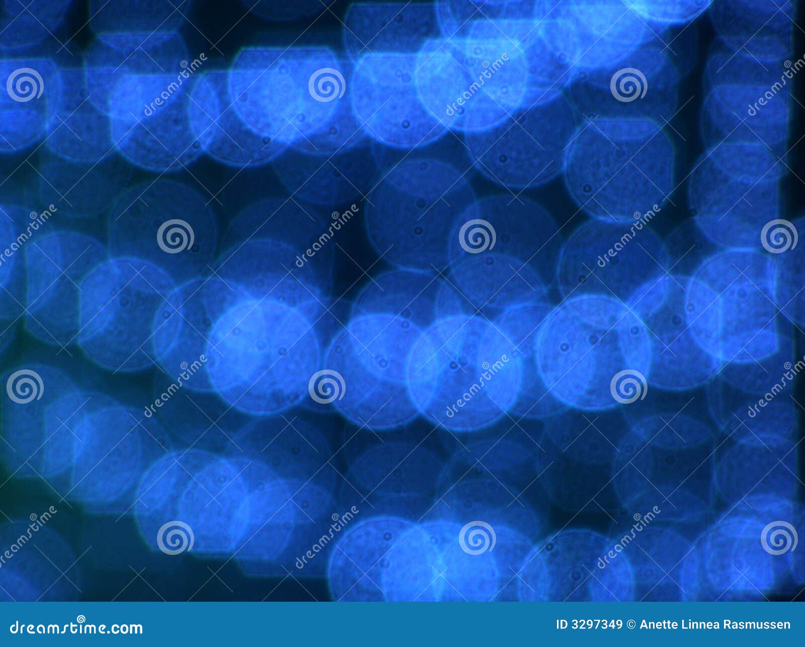 Blue spider web stock image. Image of detail, filament - 3297349