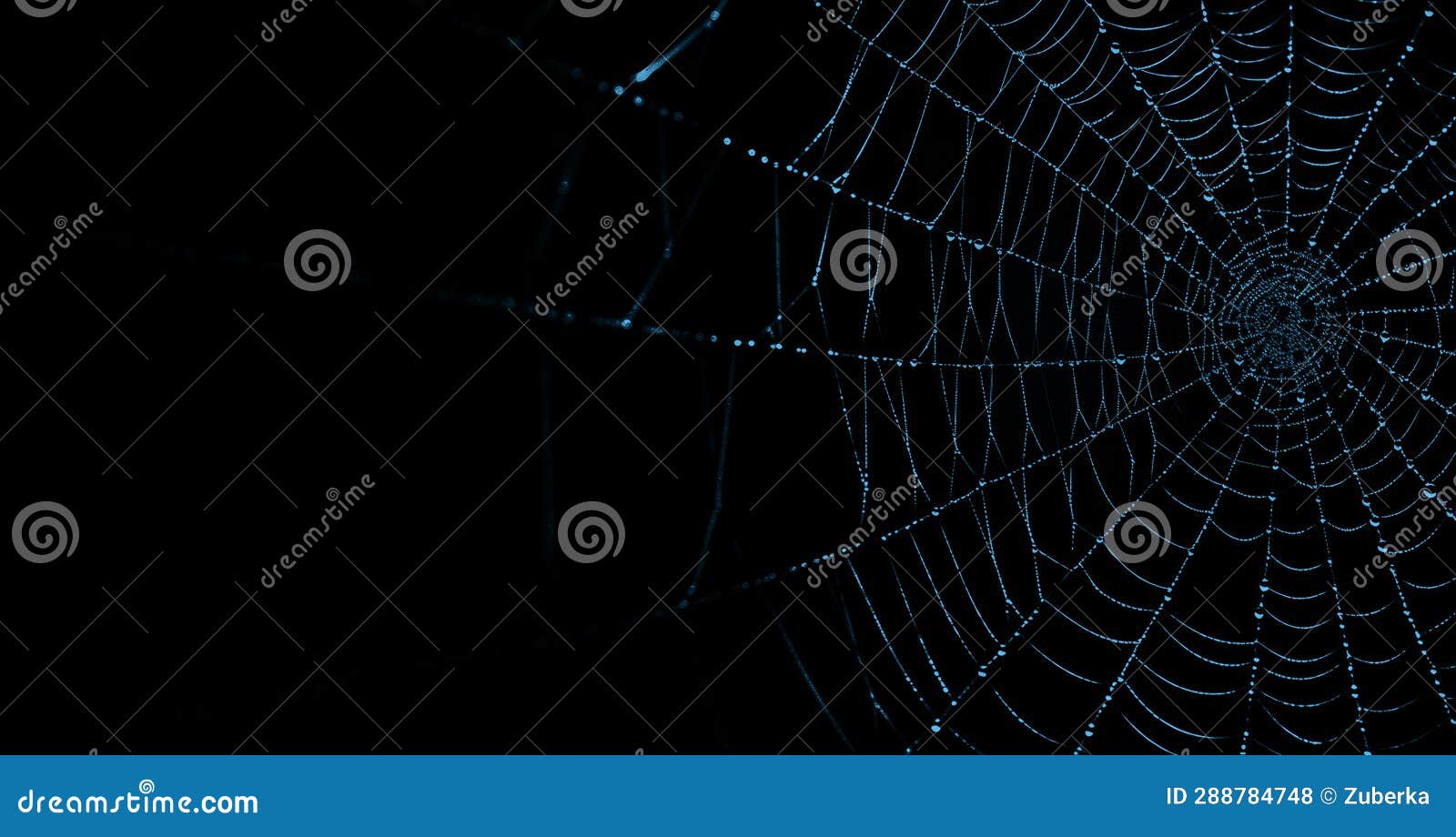 Blue Spider Web Against Black Background Stock Illustration ...