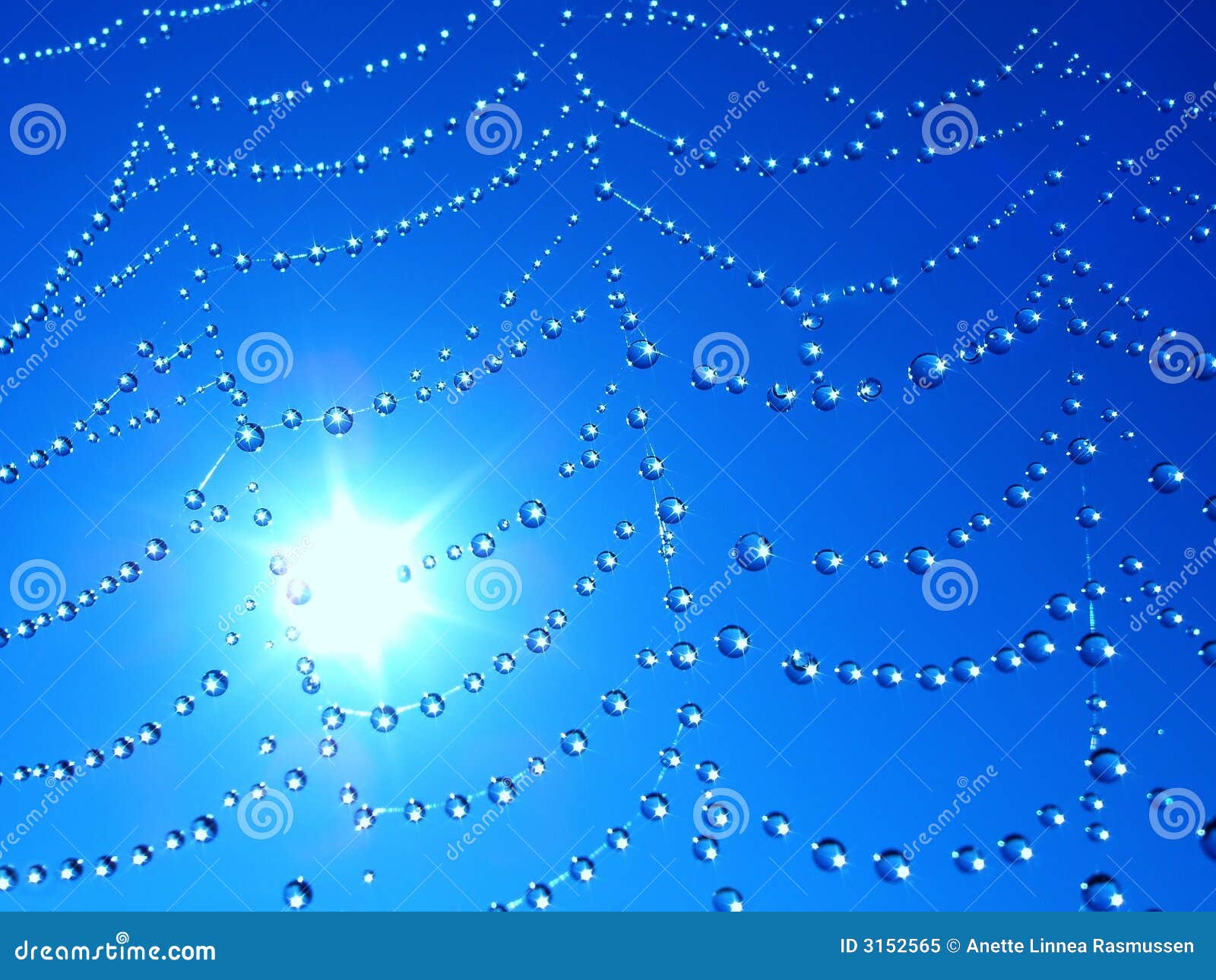 Blue spider web with drops stock image. Image of conceptual - 3152565