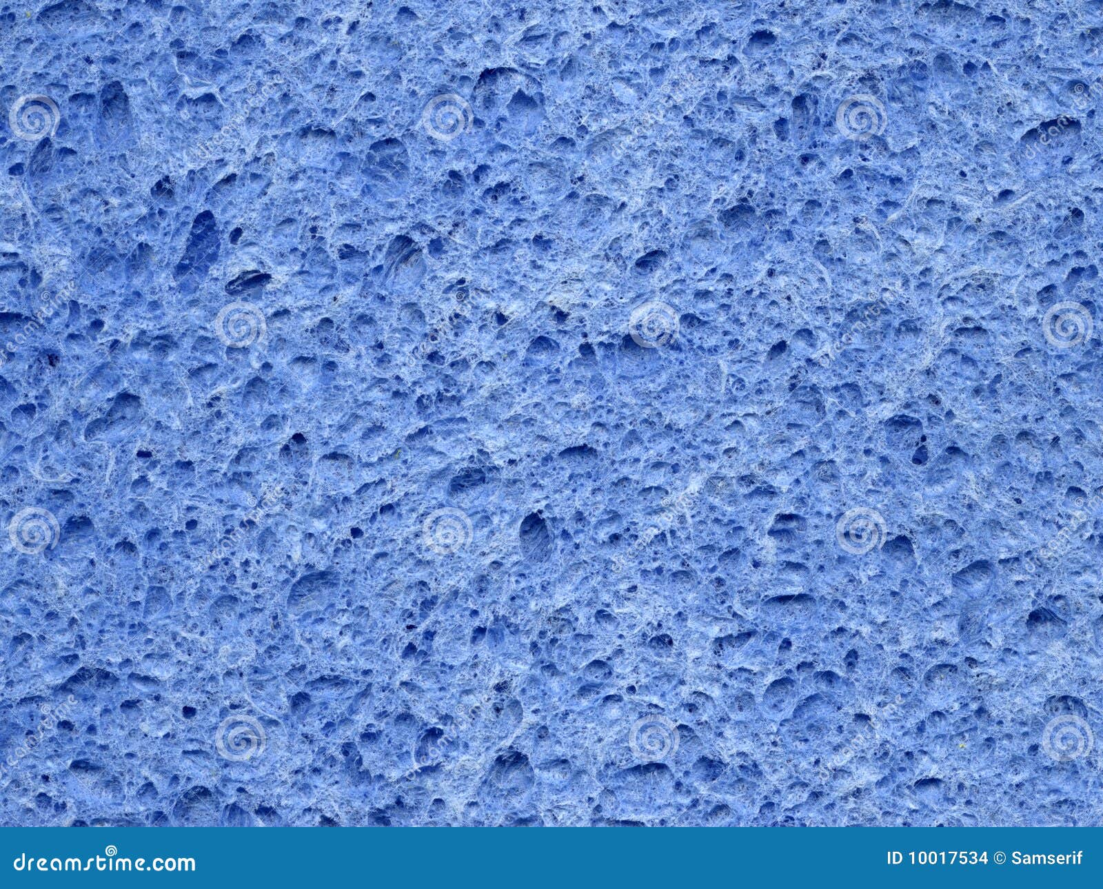 Blue Sponge stock photo. Image of clean, pure, health - 10017534