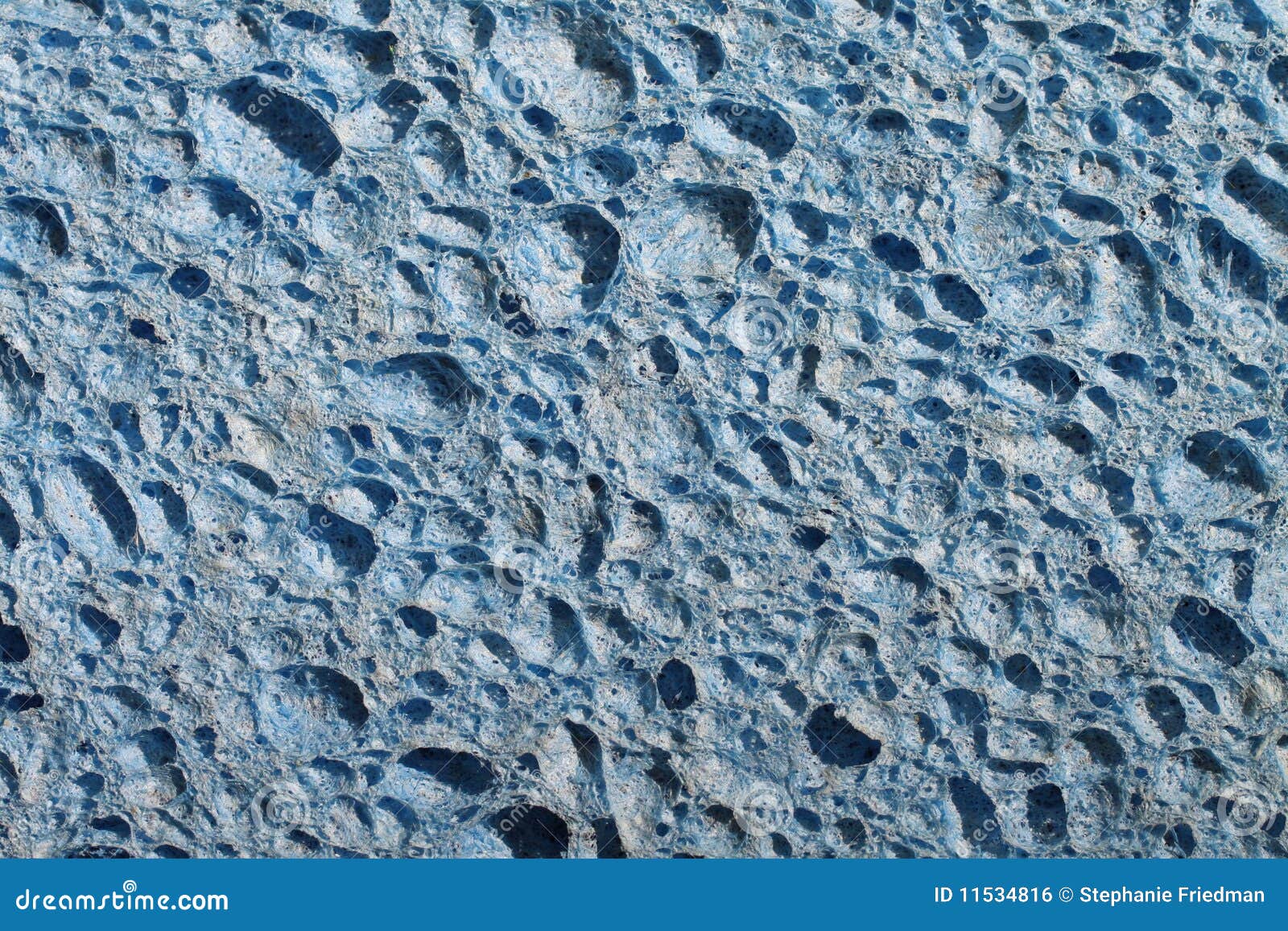 Blue Sponge stock photo. Image of sponge, texture, hole - 11534816