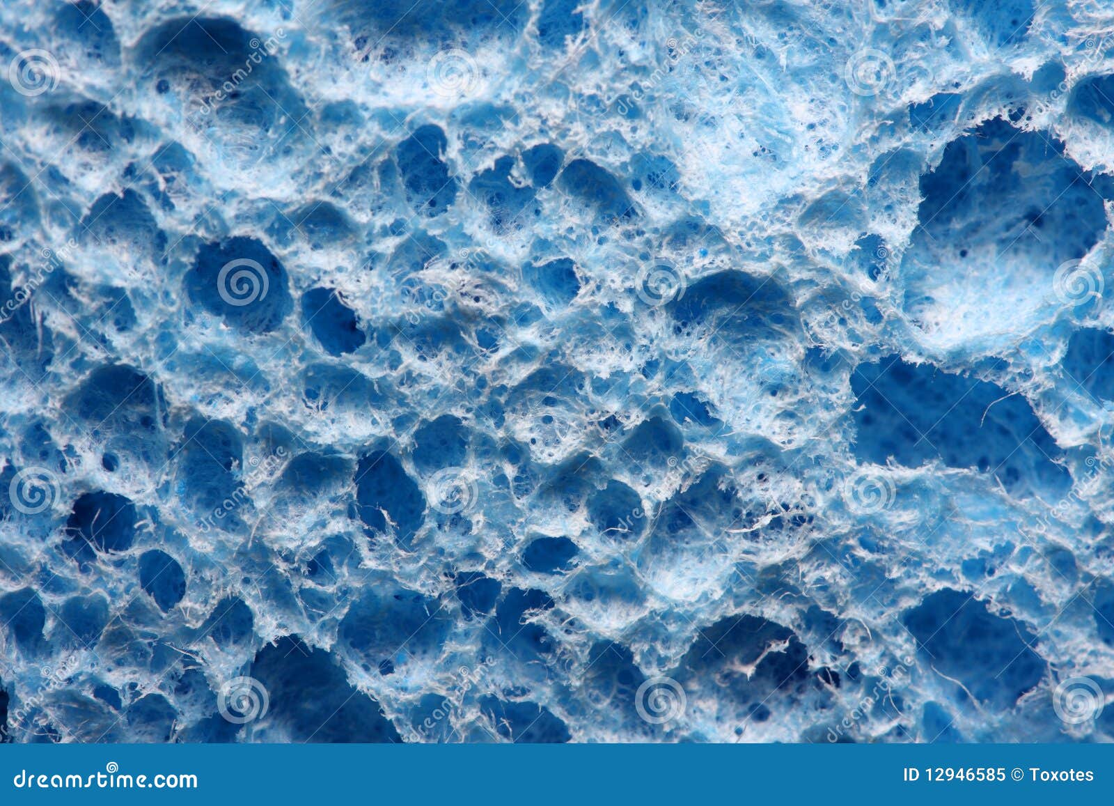 Blue sponge stock image. Image of plain, closeup, holes - 12946585