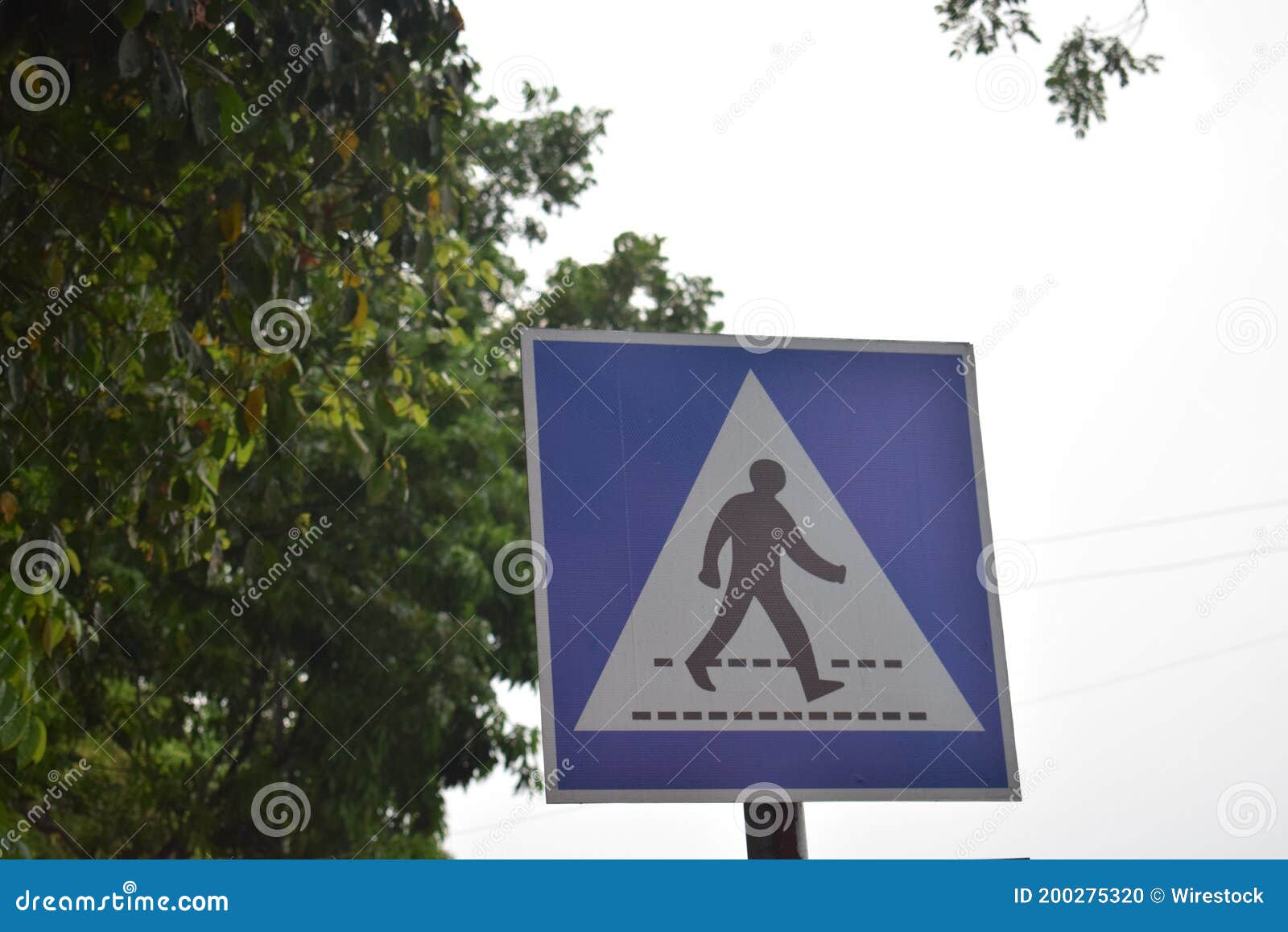 Square Pedestrian Crossing Sign Crosswalk Lights And Diagonal Arrow ...