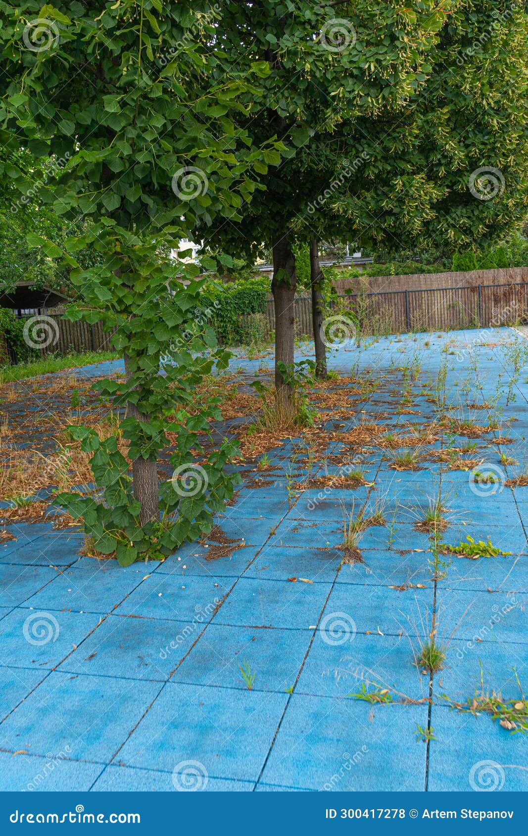 Blue Stadium Coverage Texture, Treadmill Textured Background, Jogging ...