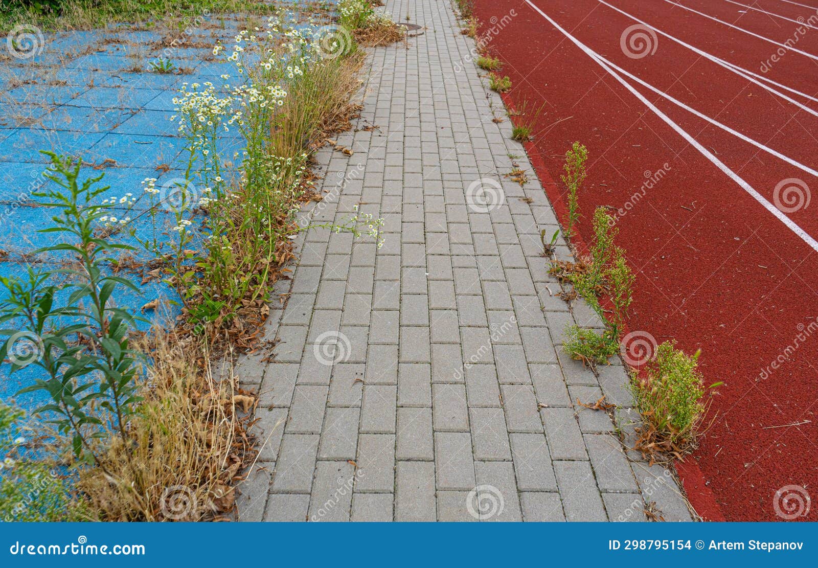 Blue Stadium Coverage Texture, Treadmill Textured Background, Jogging ...
