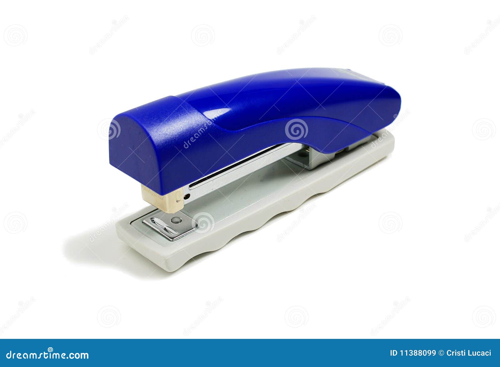 Blue stapler stock image. Image of bind, close, fastener - 11388099