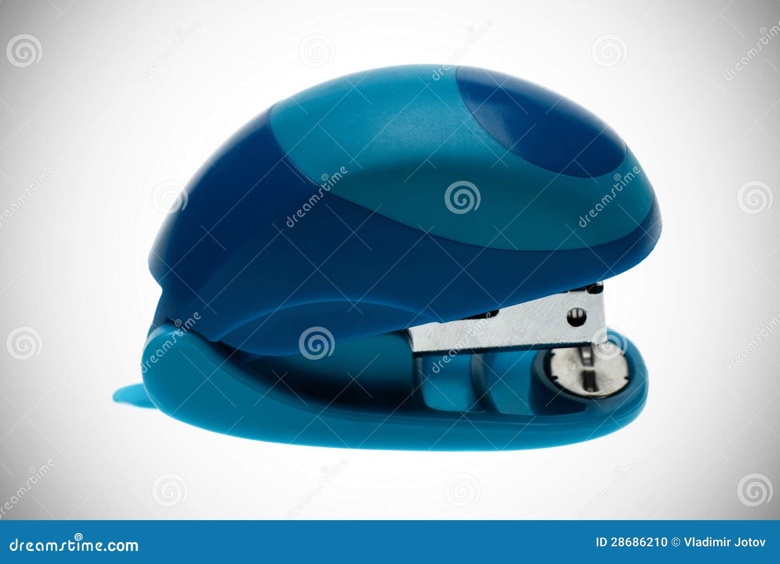 Blue stapler stock photo. Image of utensil, office, small - 28686210
