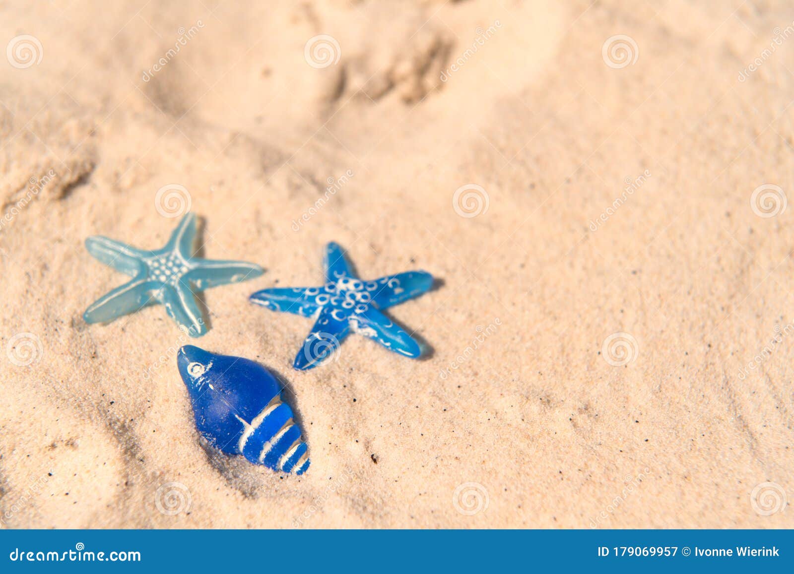 Blue Star Fish at the Beach Stock Image - Image of coast, palm: 179069957