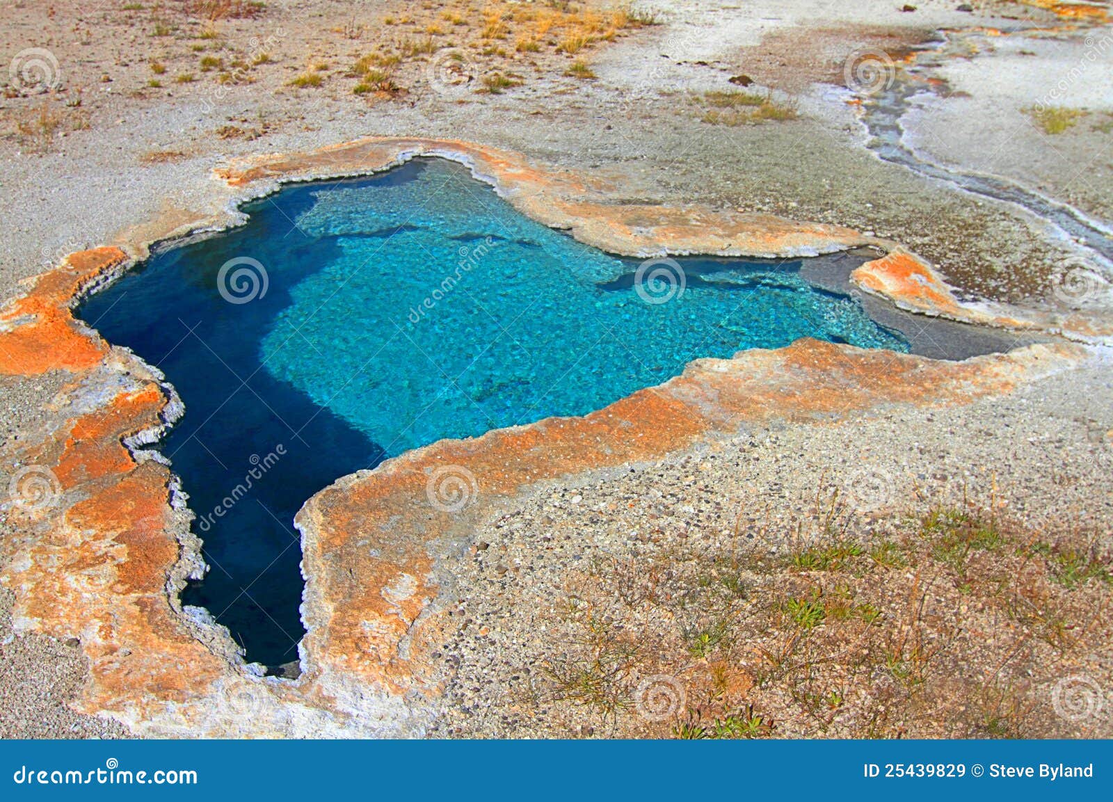 Blue Star Spring in Yellowstone Stock Image - Image of blue, national ...