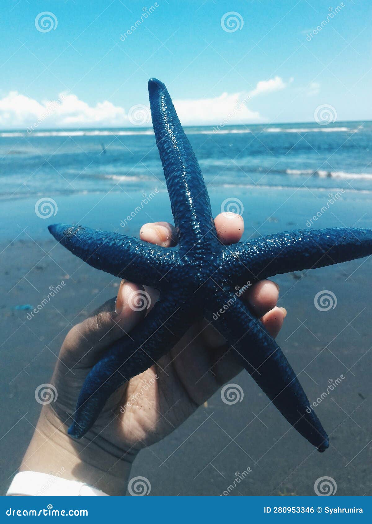 A Blue Starfish Held by a Person Stock Photo - Image of sand ...