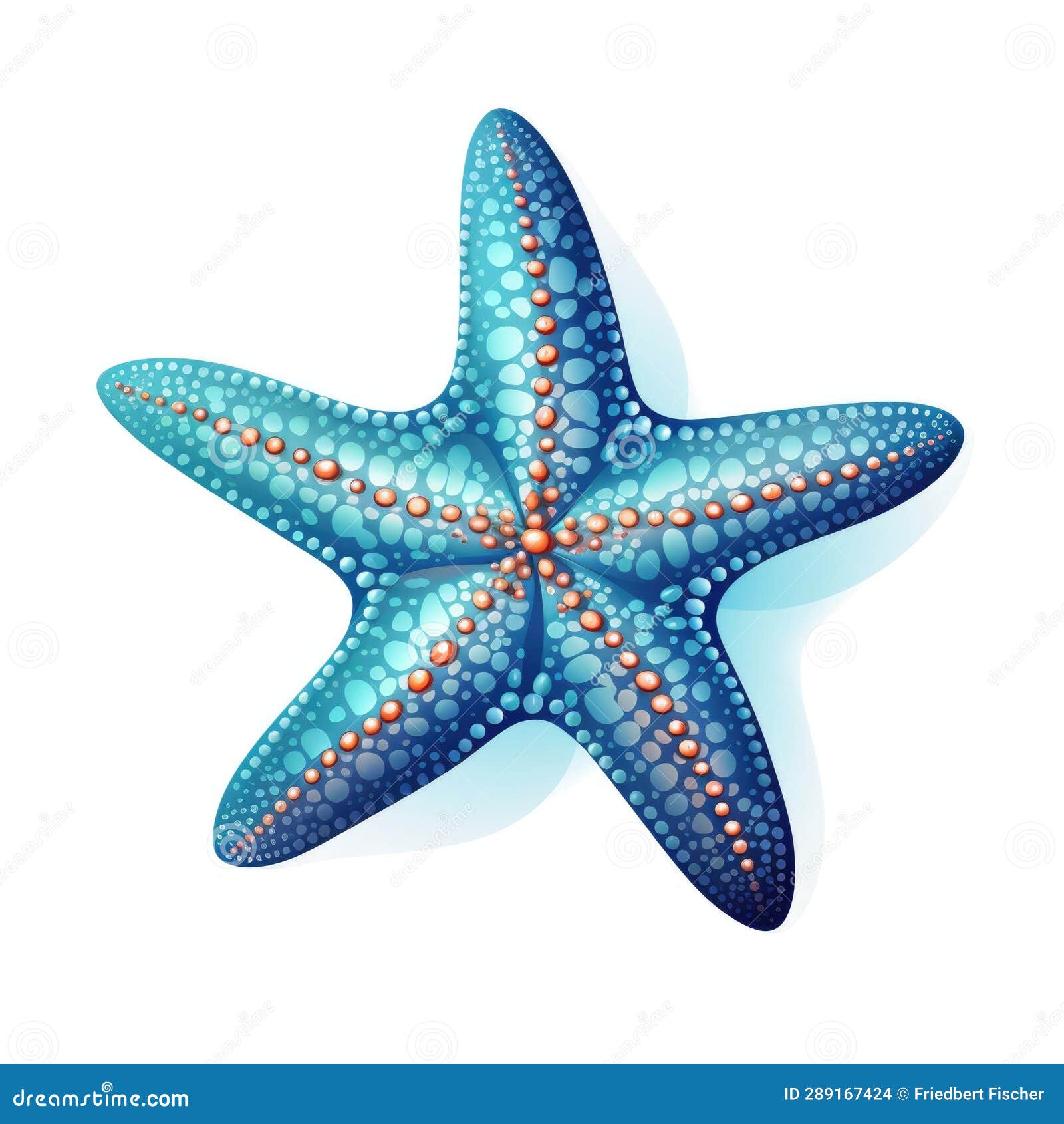 A Blue Starfish on a White Background. Stock Illustration ...