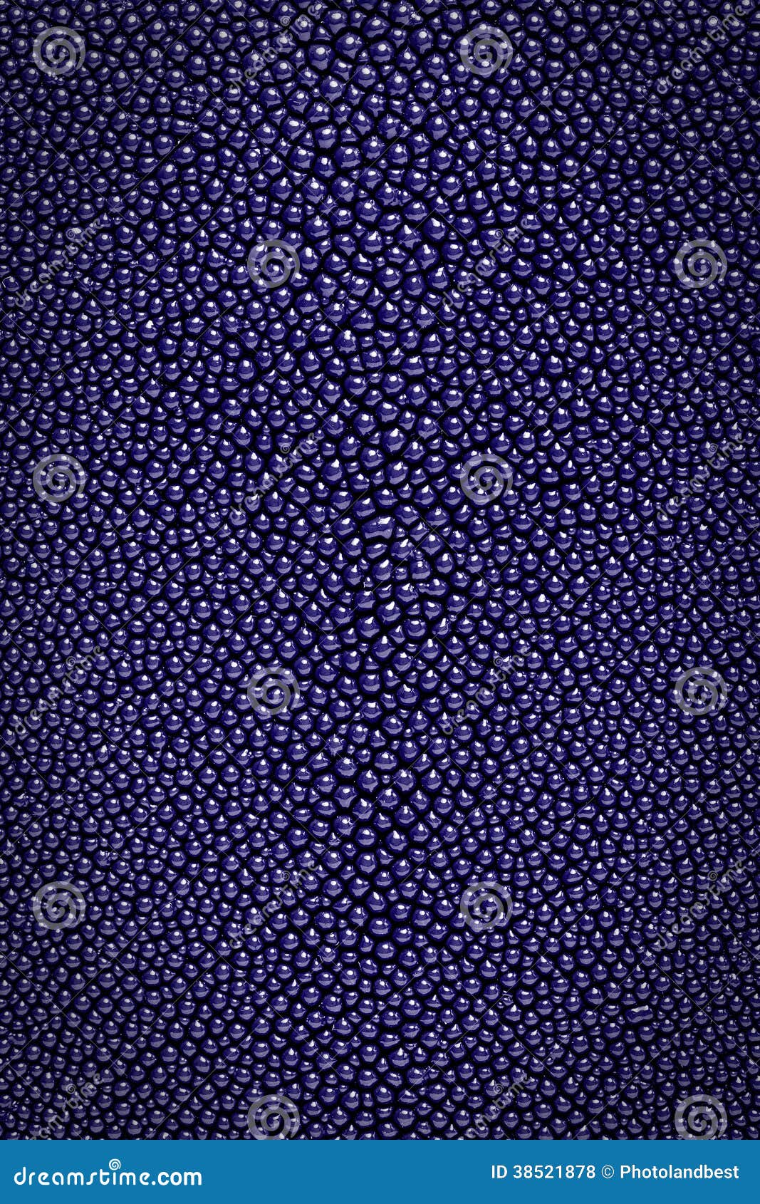 Blue stingray skin stock photo. Image of pattern, styled - 38521878