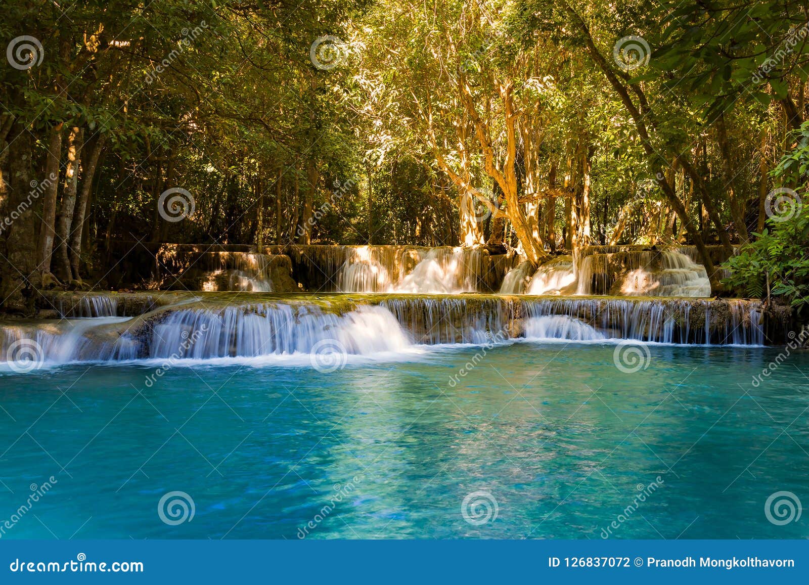 Blue Stream Deep Forest Waterfall in Tropical Stock Photo - Image of ...