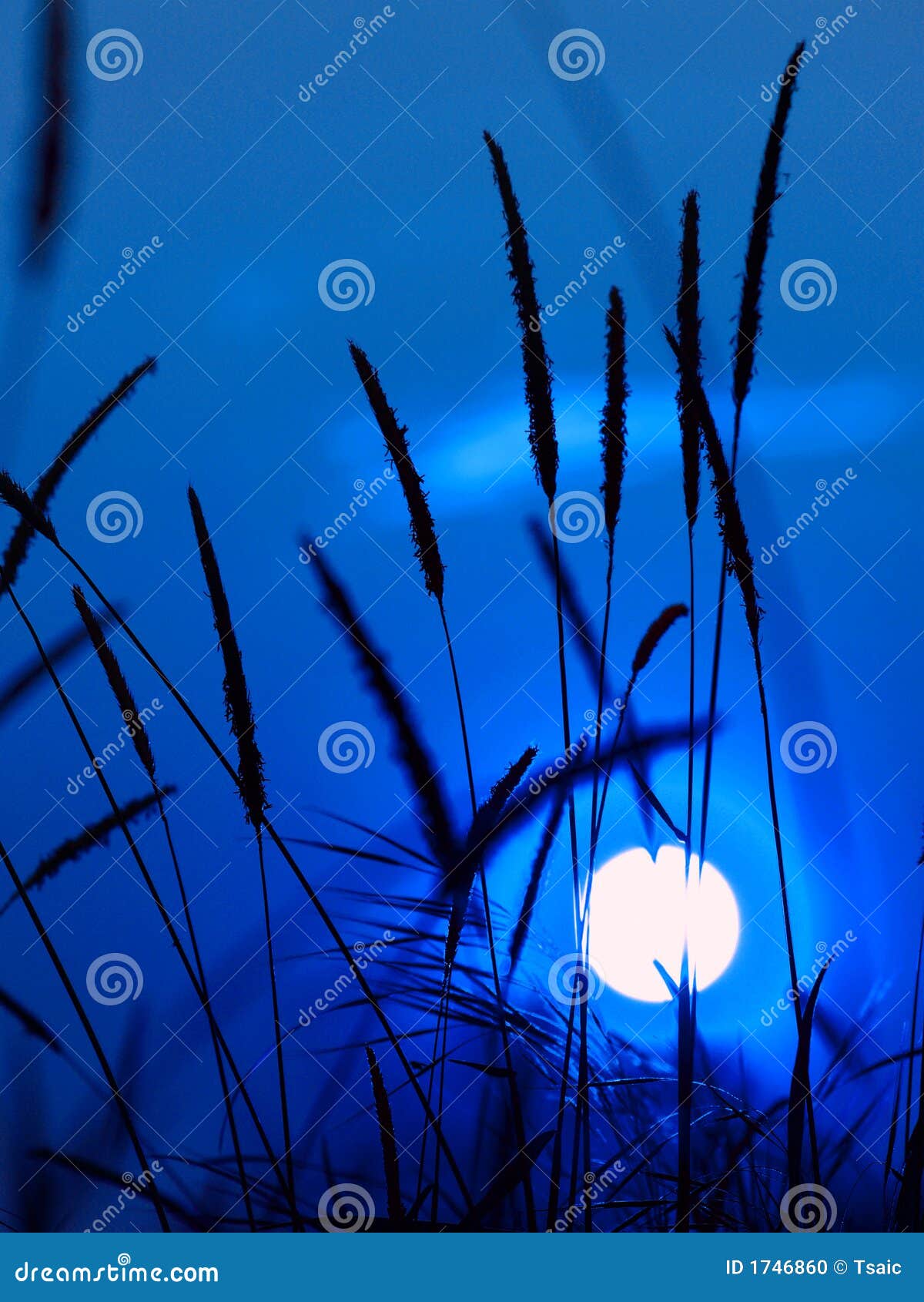 Blue sundown stock photo. Image of sunset, heaven, landscape - 1746860