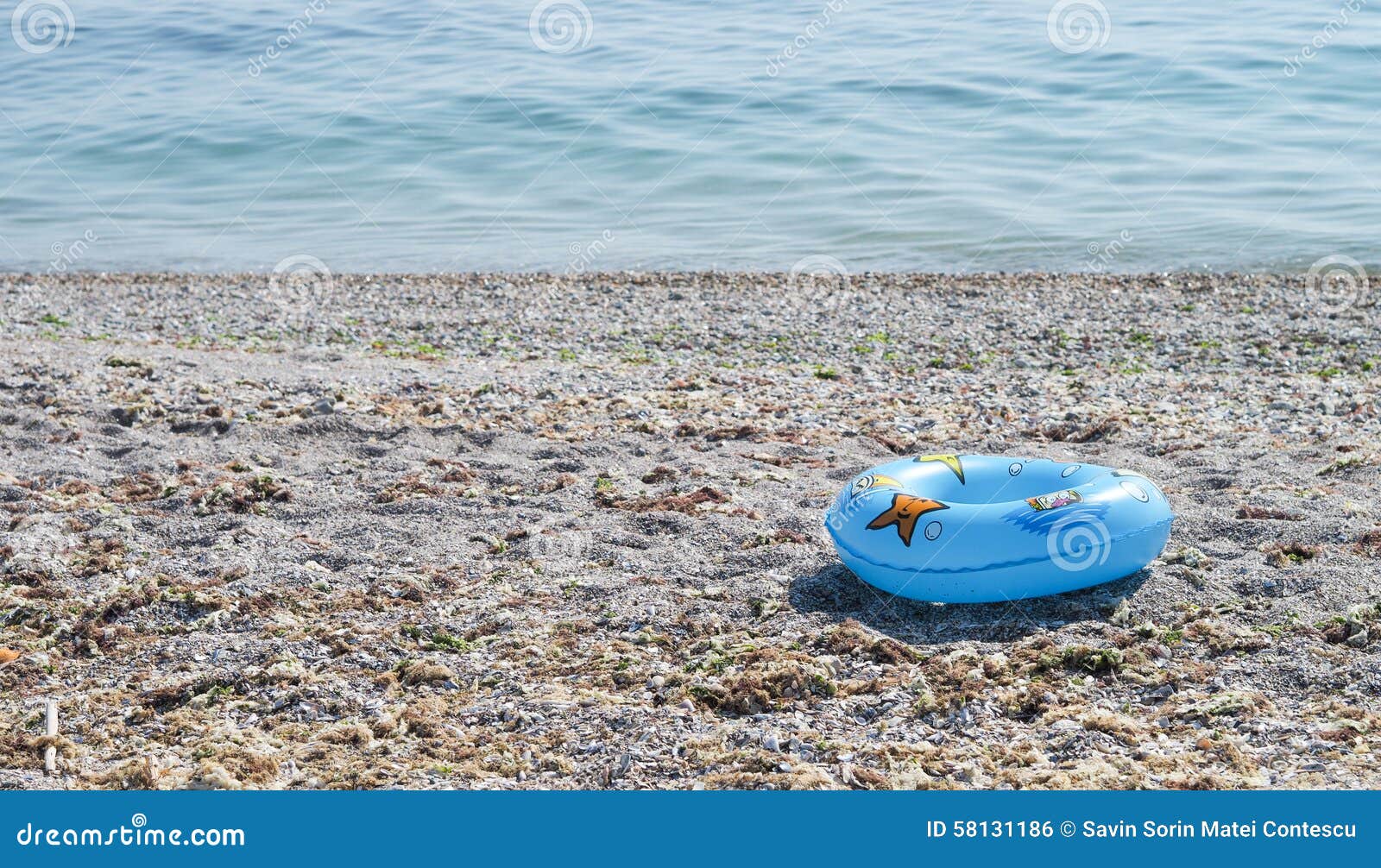 Blue swim ring stock photo. Image of landscape, lifestyles - 58131186