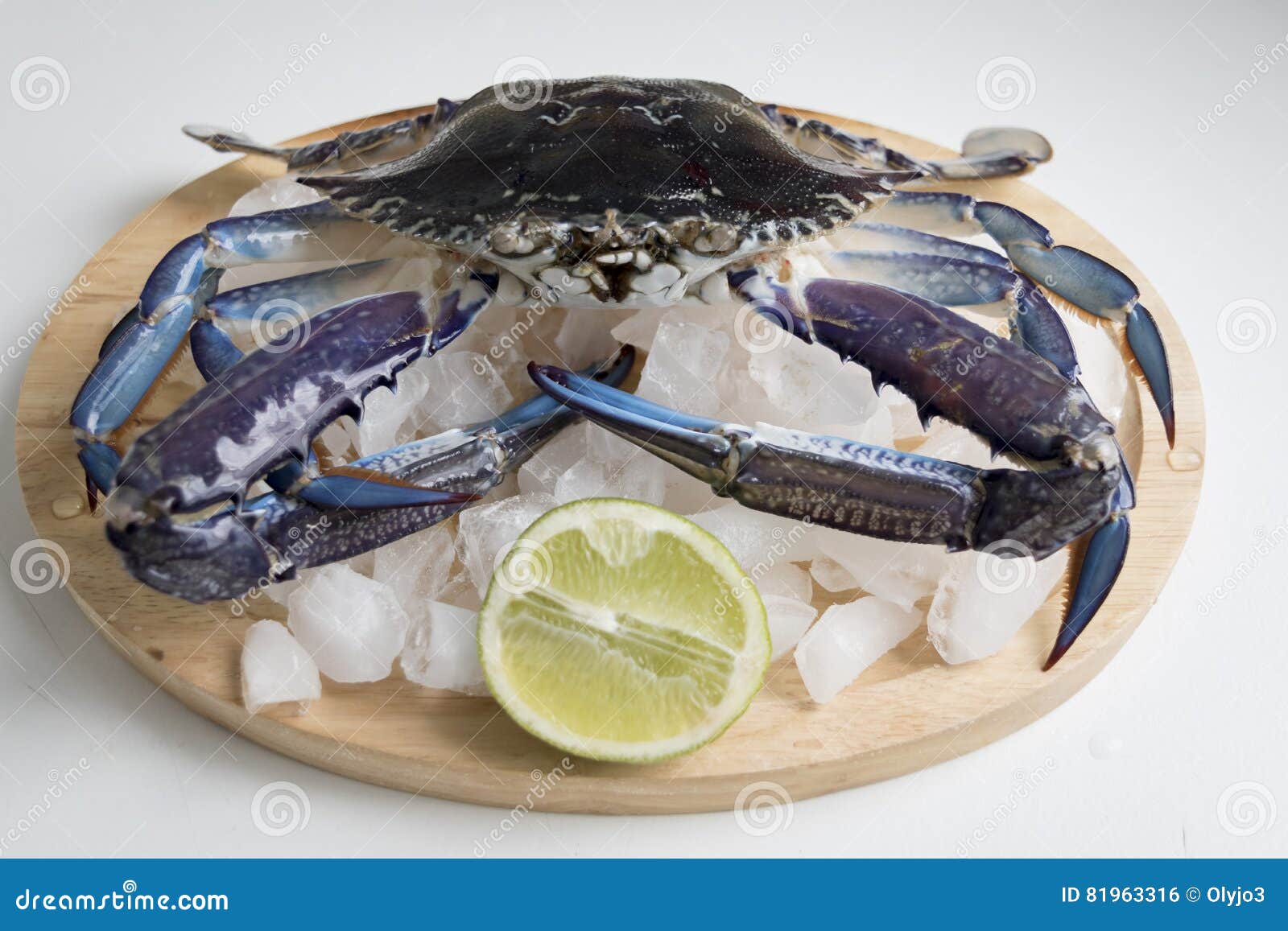 Blue swimmer crab stock photo. Image of close, animal - 81963316