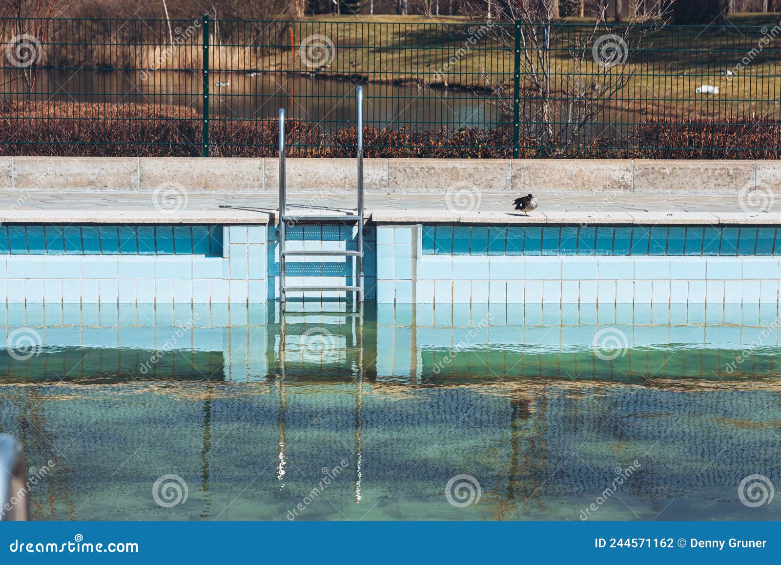 An Swimming Pool with Dirty Water in Springtime Stock Photo - Image of ...