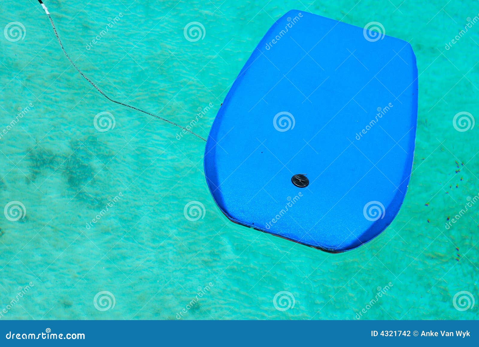 Blue swimming pool float stock photo. Image of outdoors - 4321742