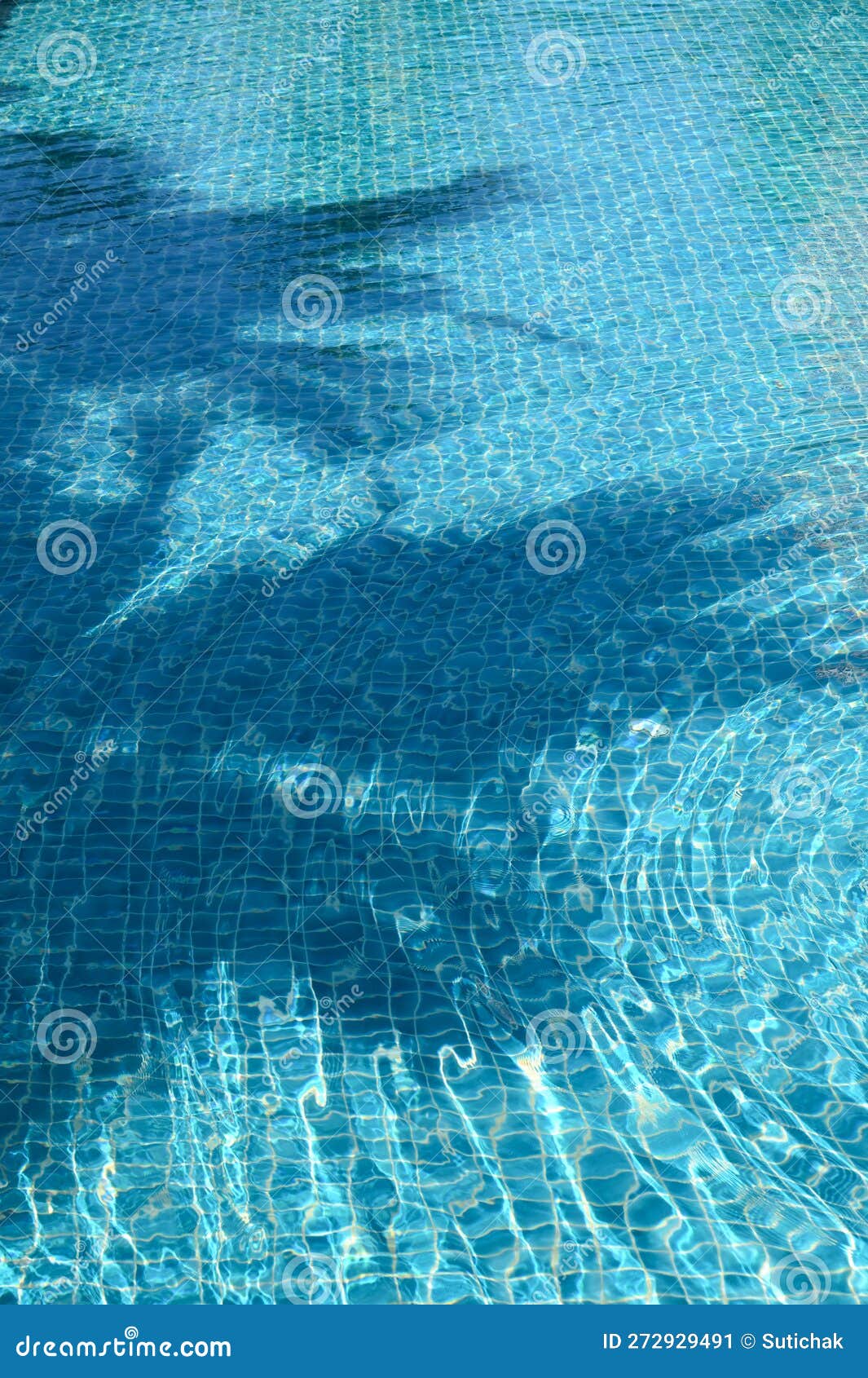 Blue Swimming Pool with Shadow of Tree, Beautiful Background Stock ...