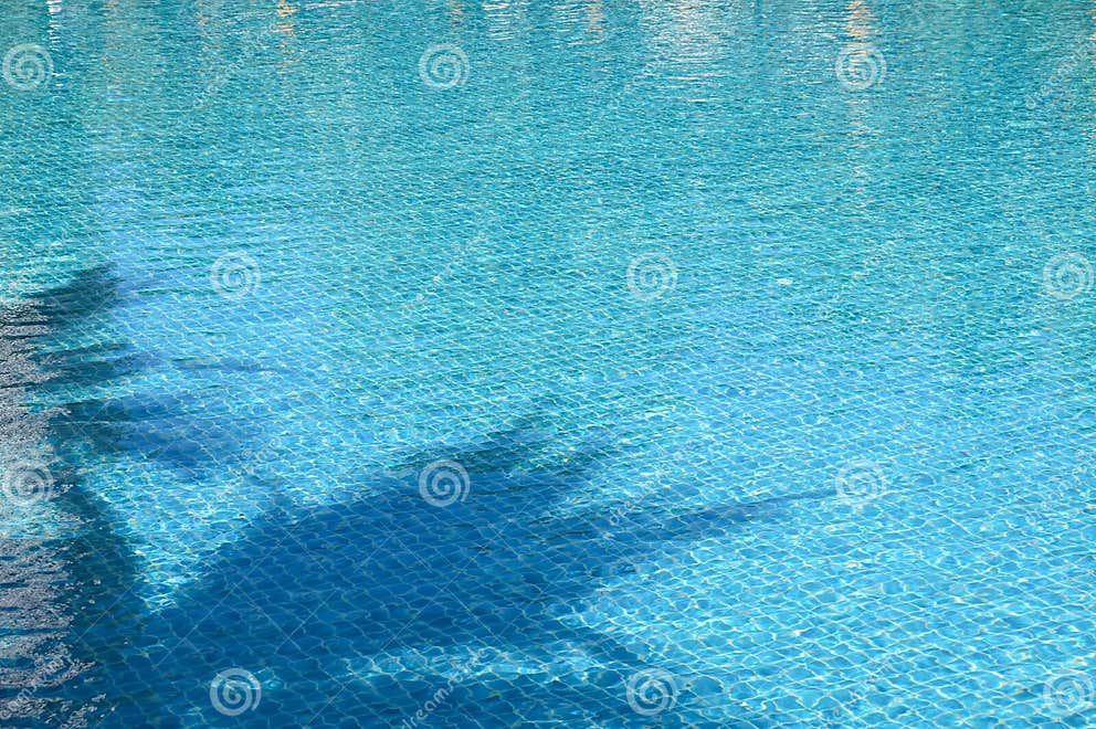 Blue Swimming Pool with Shadow of Tree, Beautiful Background Stock ...
