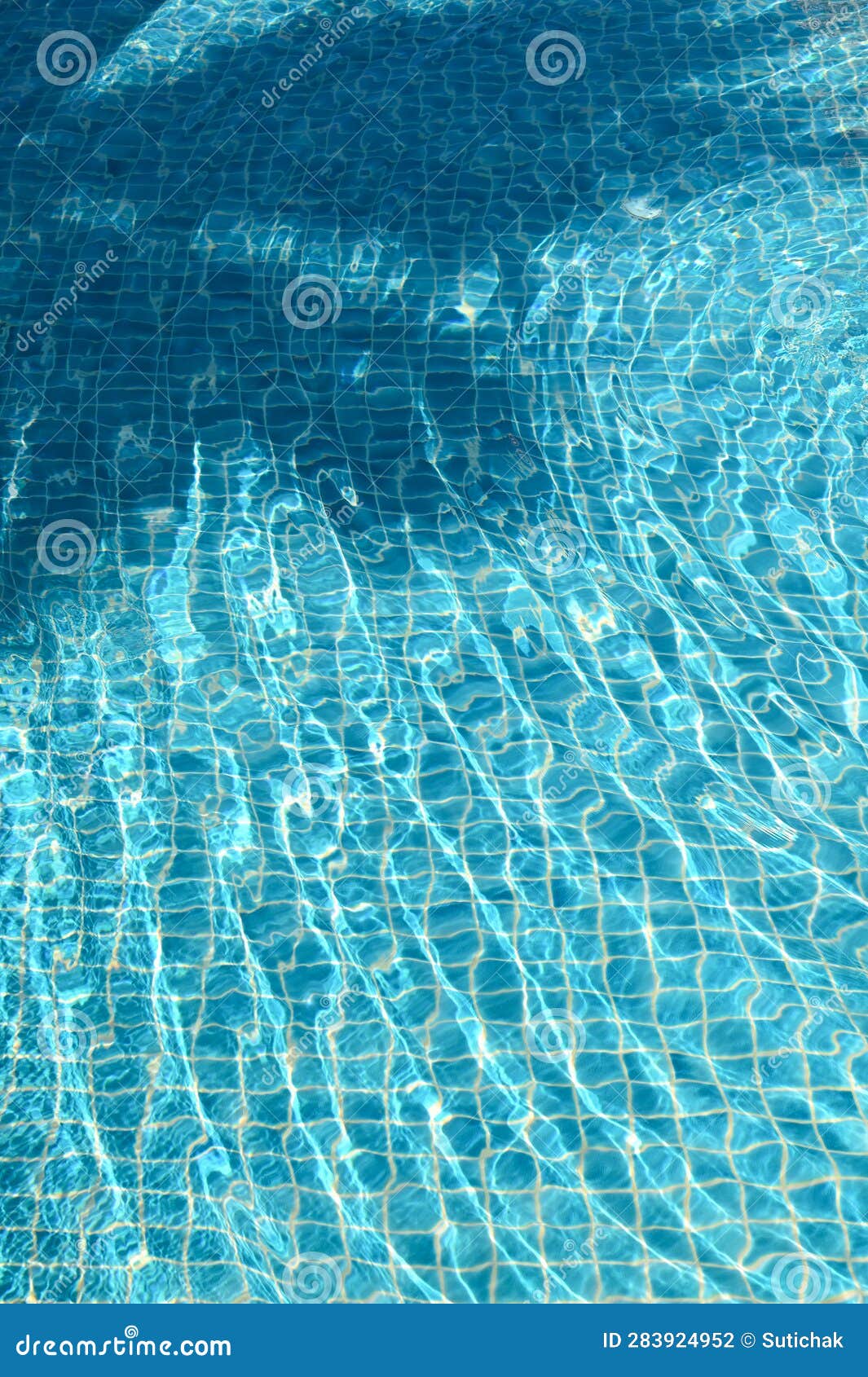 Blue Swimming Pool with Shadow of Tree, Beautiful Background Stock ...