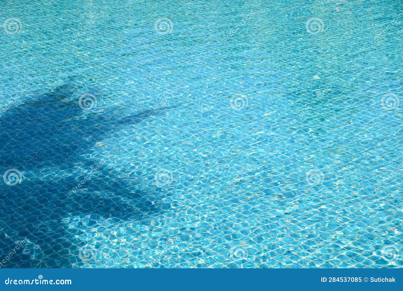 Blue Swimming Pool with Shadow of Tree, Beautiful Background Stock ...