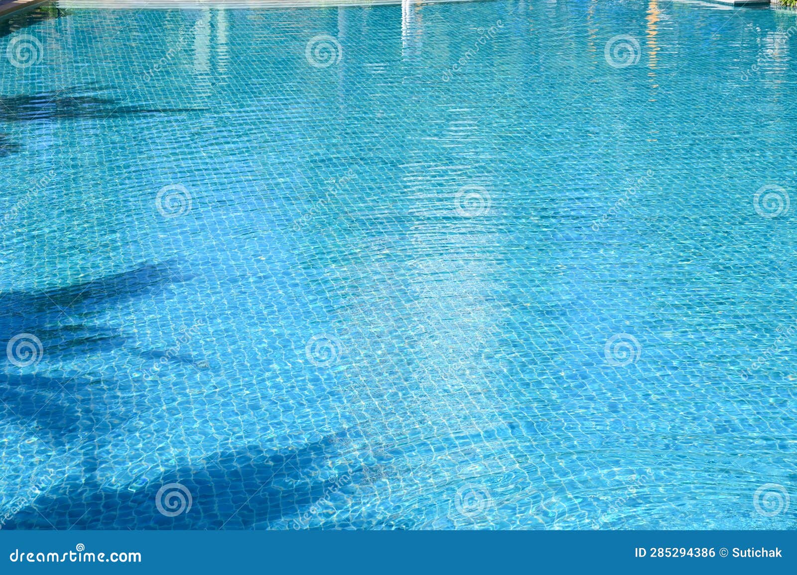 Blue Swimming Pool with Shadow of Tree, Beautiful Background Stock ...