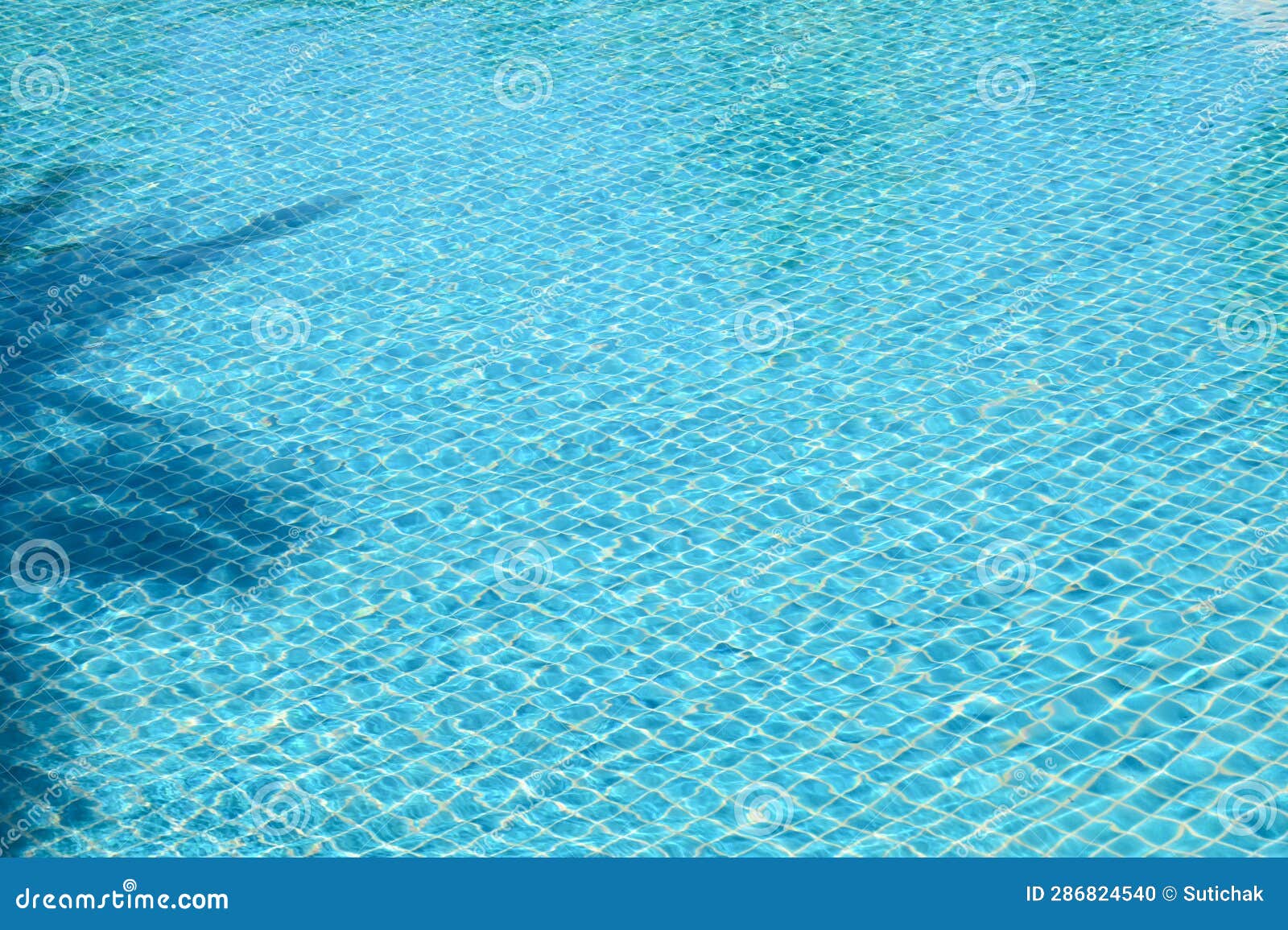 Blue Swimming Pool with Shadow of Tree, Beautiful Background Stock ...