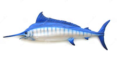 Blue Swordfish stock image. Image of sword, fish, marlin - 20922823