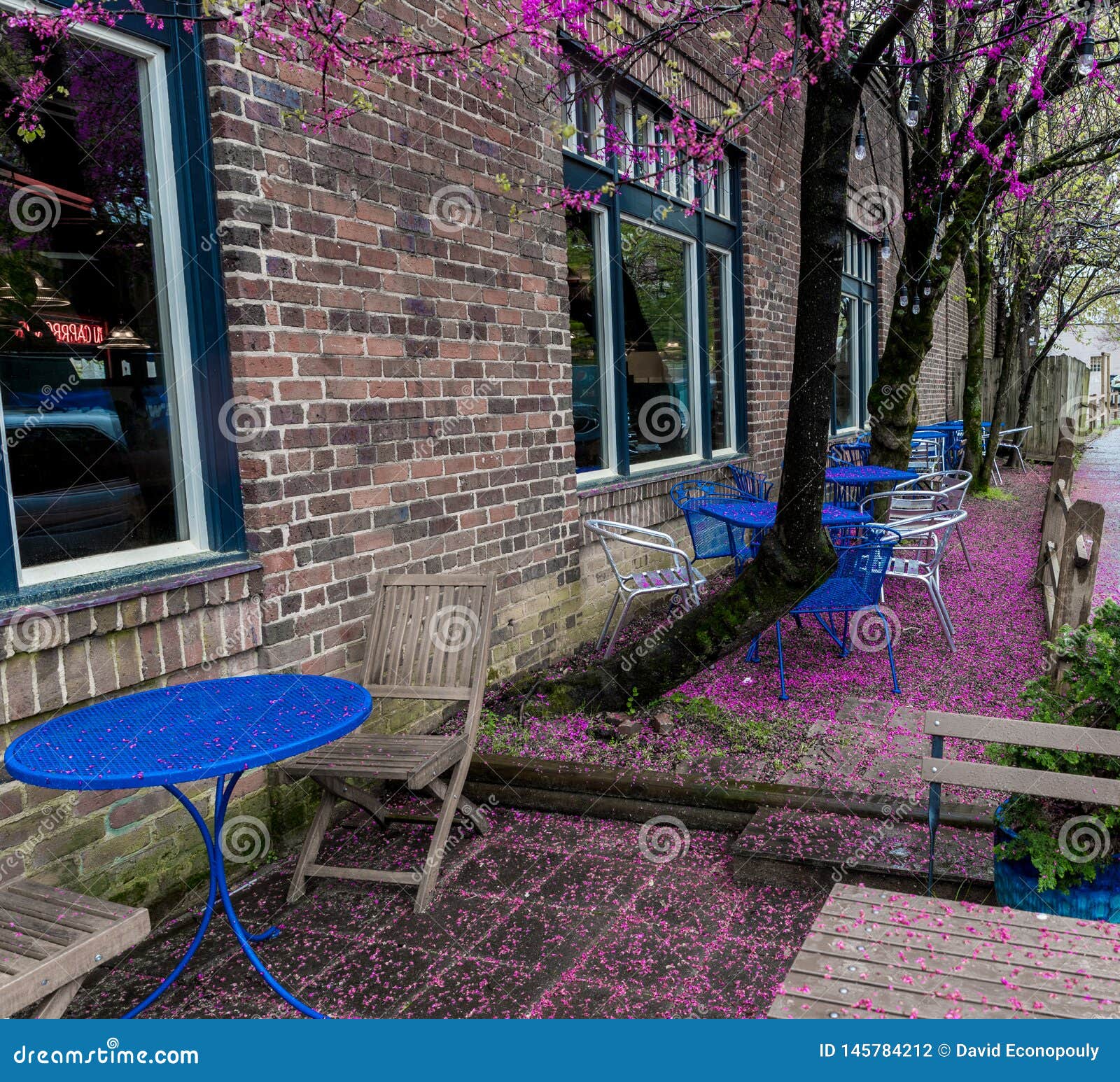 Blue Table and Chairs at a Restaurant with Beautiful Flowering Trees ...