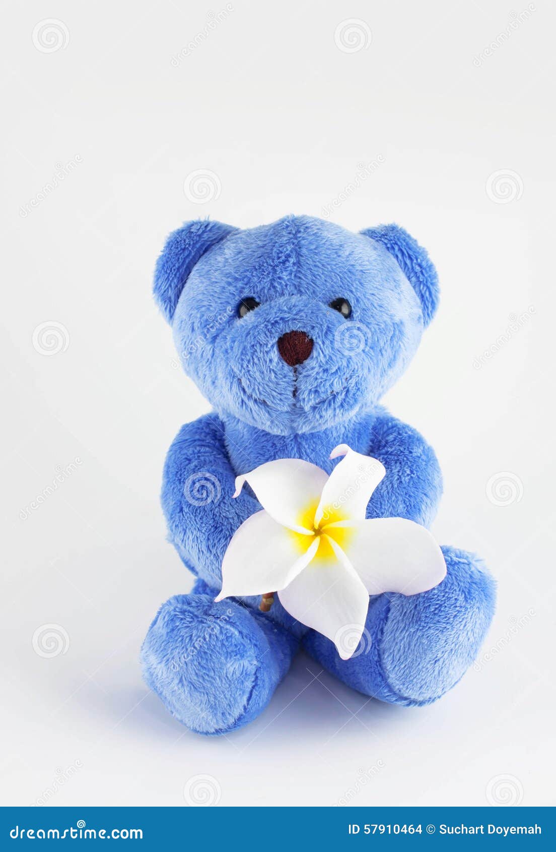 Blue teddy bear stock photo. Image of fluffy, play, teddybear - 57910464